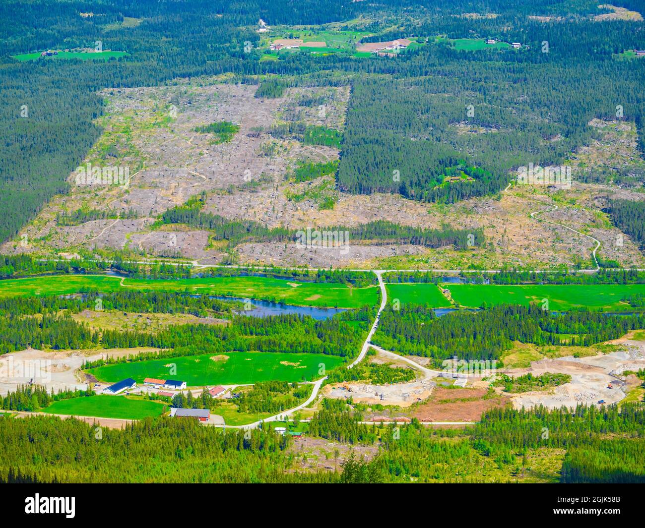 Cleared forest in the valley landscape panorama Norway of Hydalen ...
