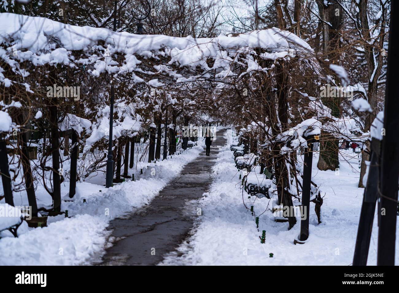 Walking on snowy trail in Bucharest, Romania, 2021. Snow on streets ...