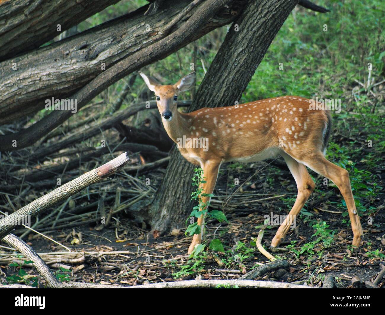 Ernie miller park and nature center hi-res stock photography and images ...
