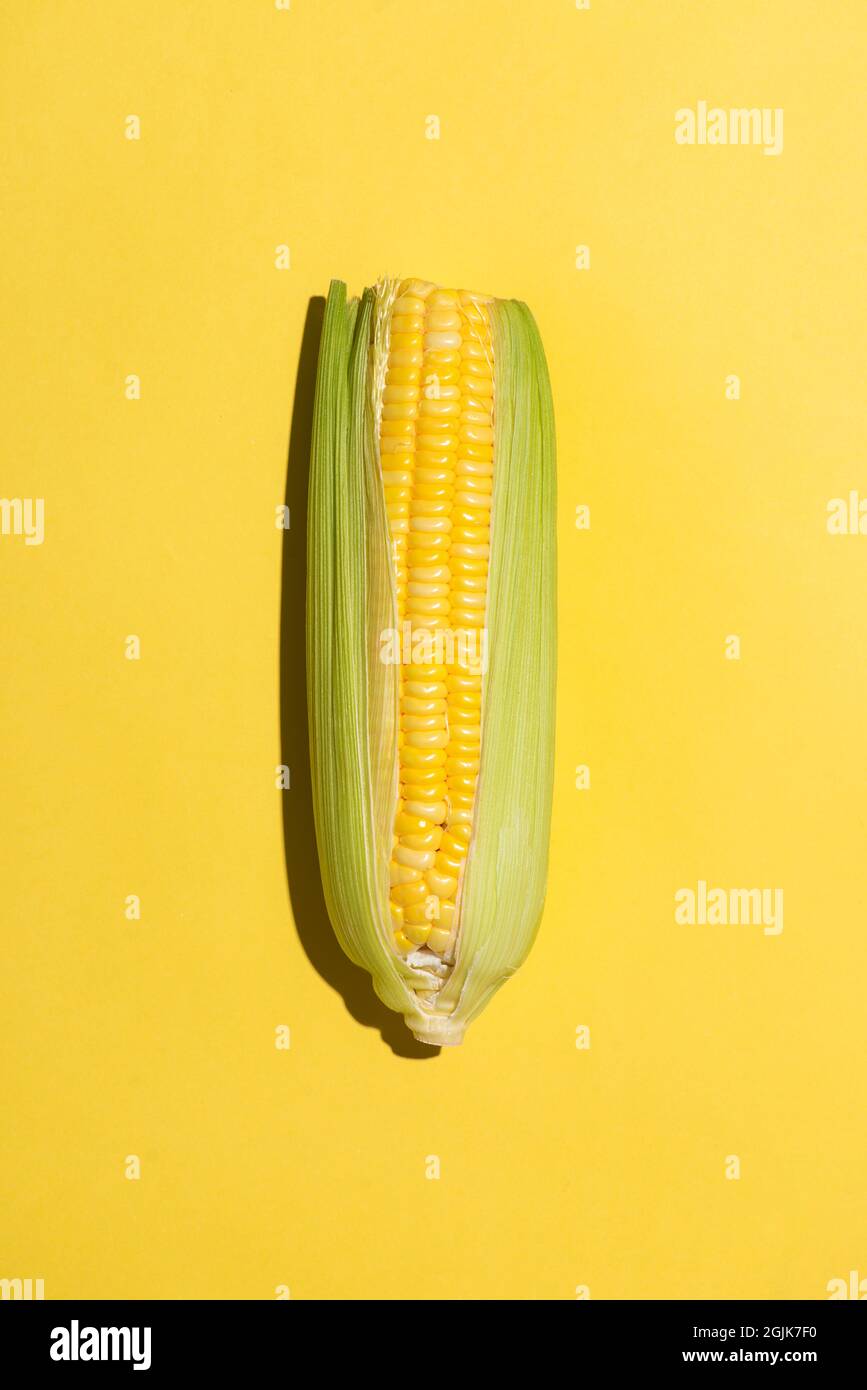 Top view of one corn on yellow background Stock Photo - Alamy