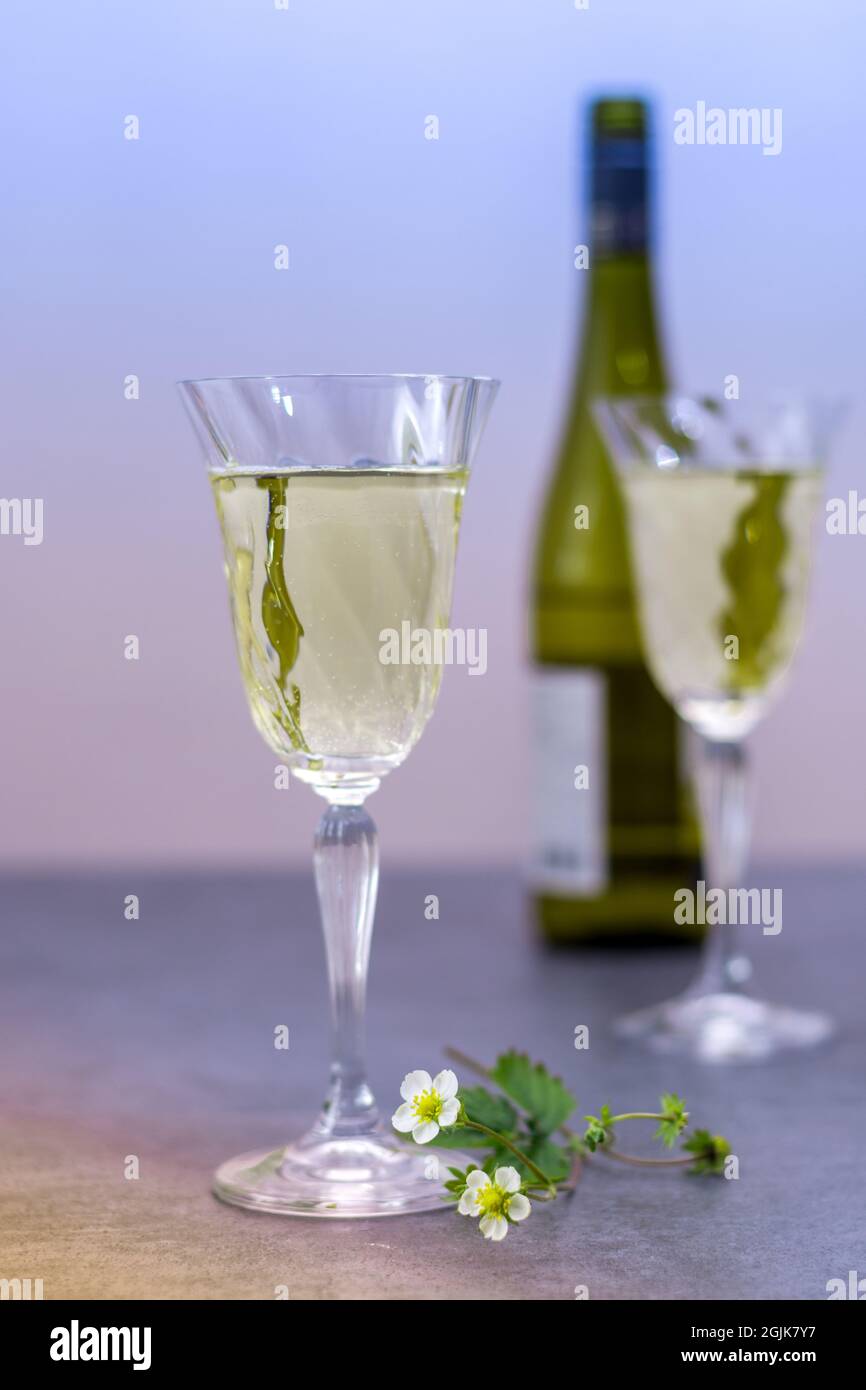 Tasting of white dry German riesling wine from Mosel river valley Stock ...