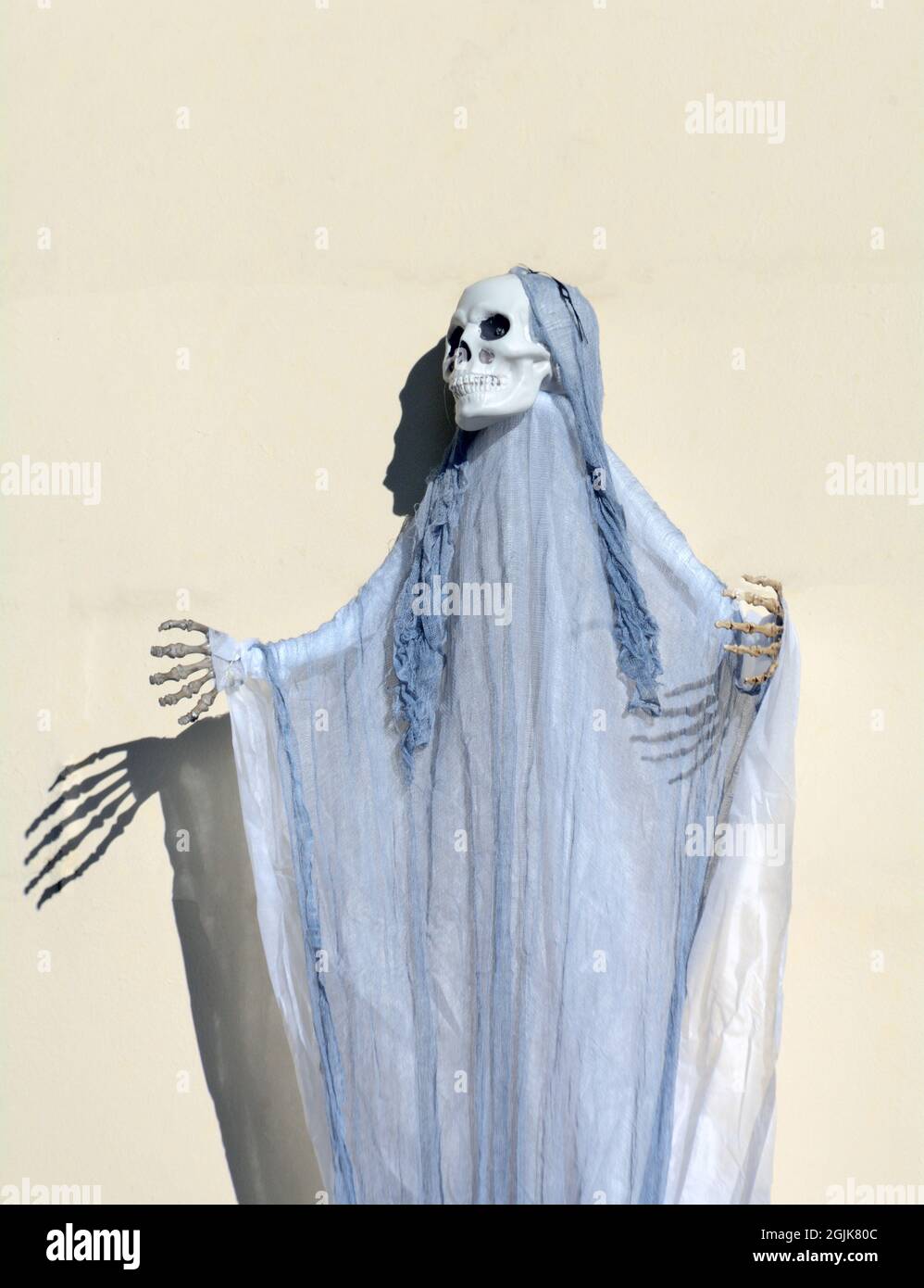 Ghostly spooky Halloween skeleton in robe against cream white wall ...
