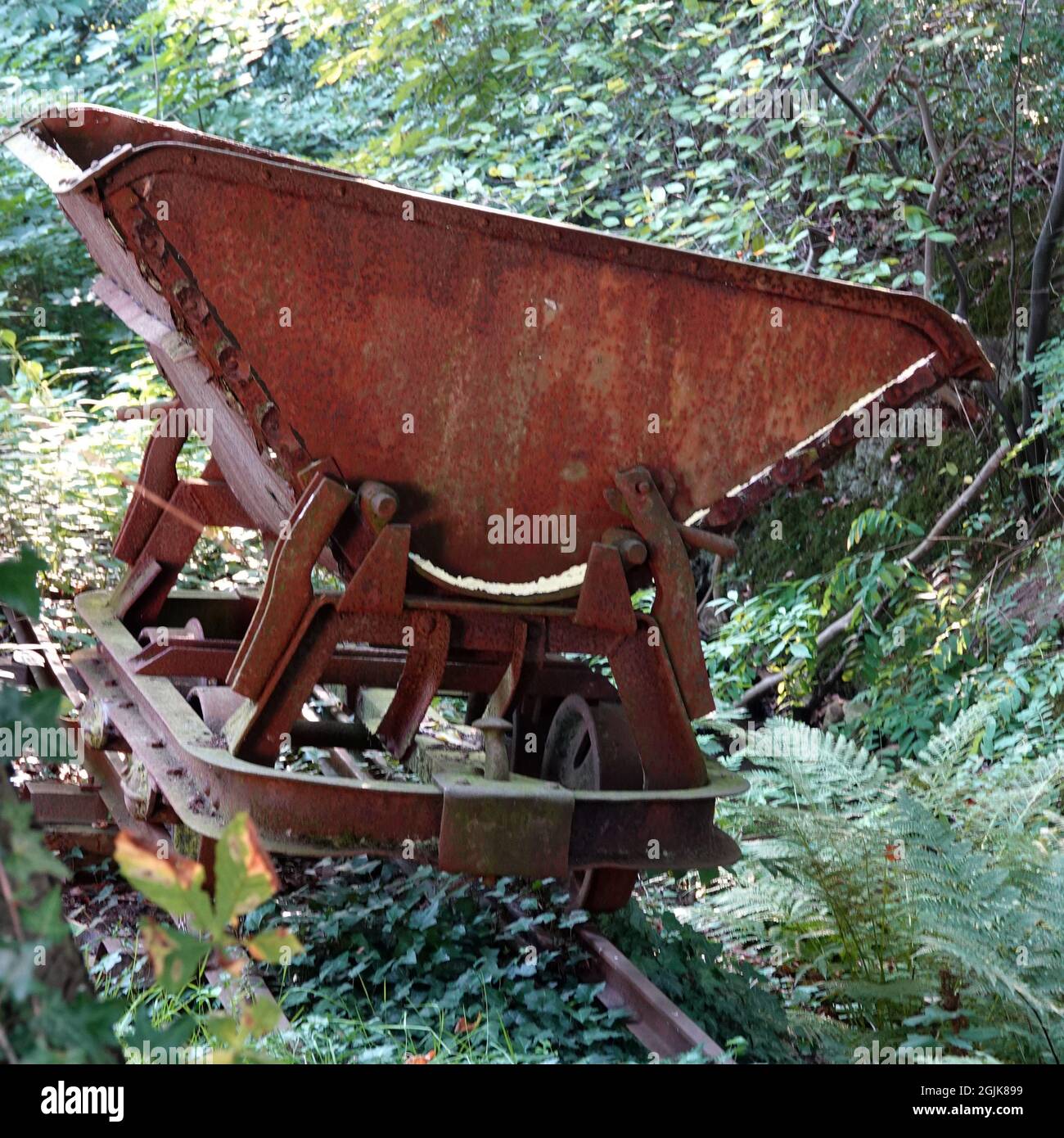 A rusty tipper wagon on narrow gauge Stock Photo - Alamy