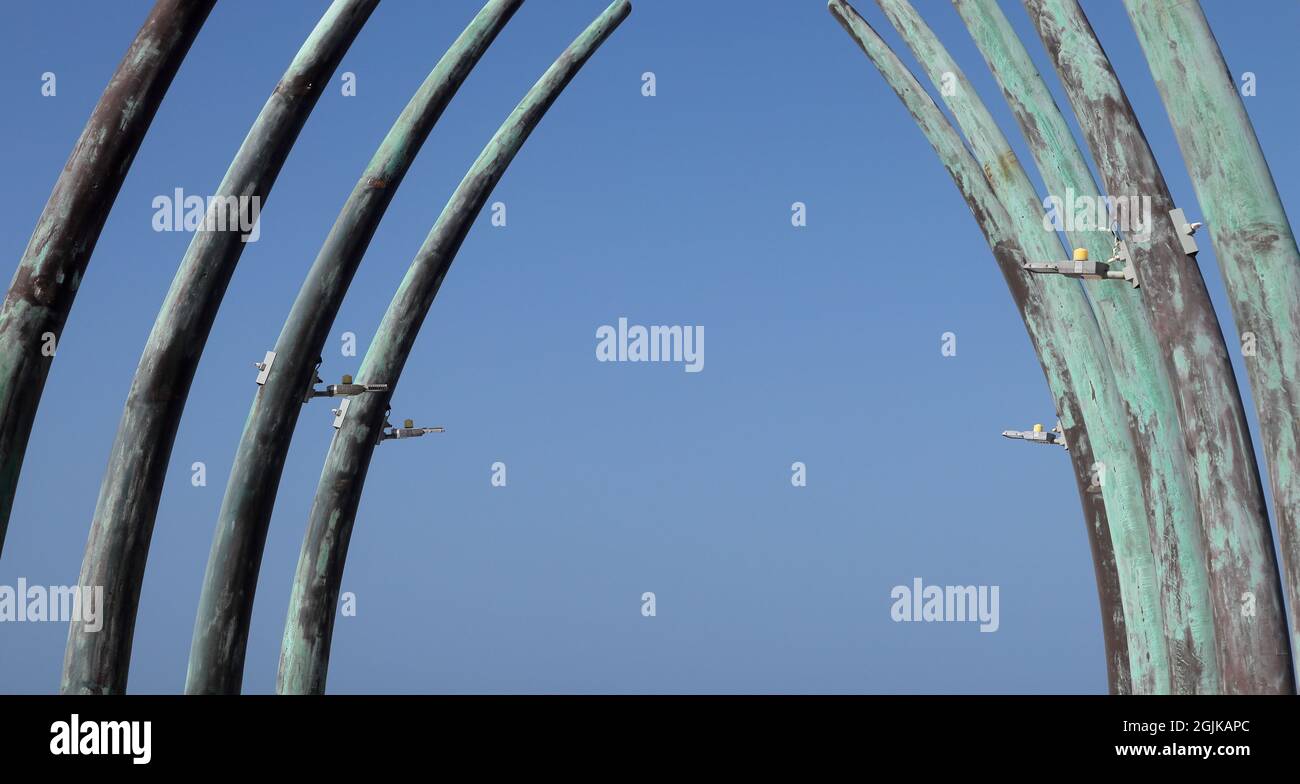 Whale bone bridge hi-res stock photography and images - Alamy