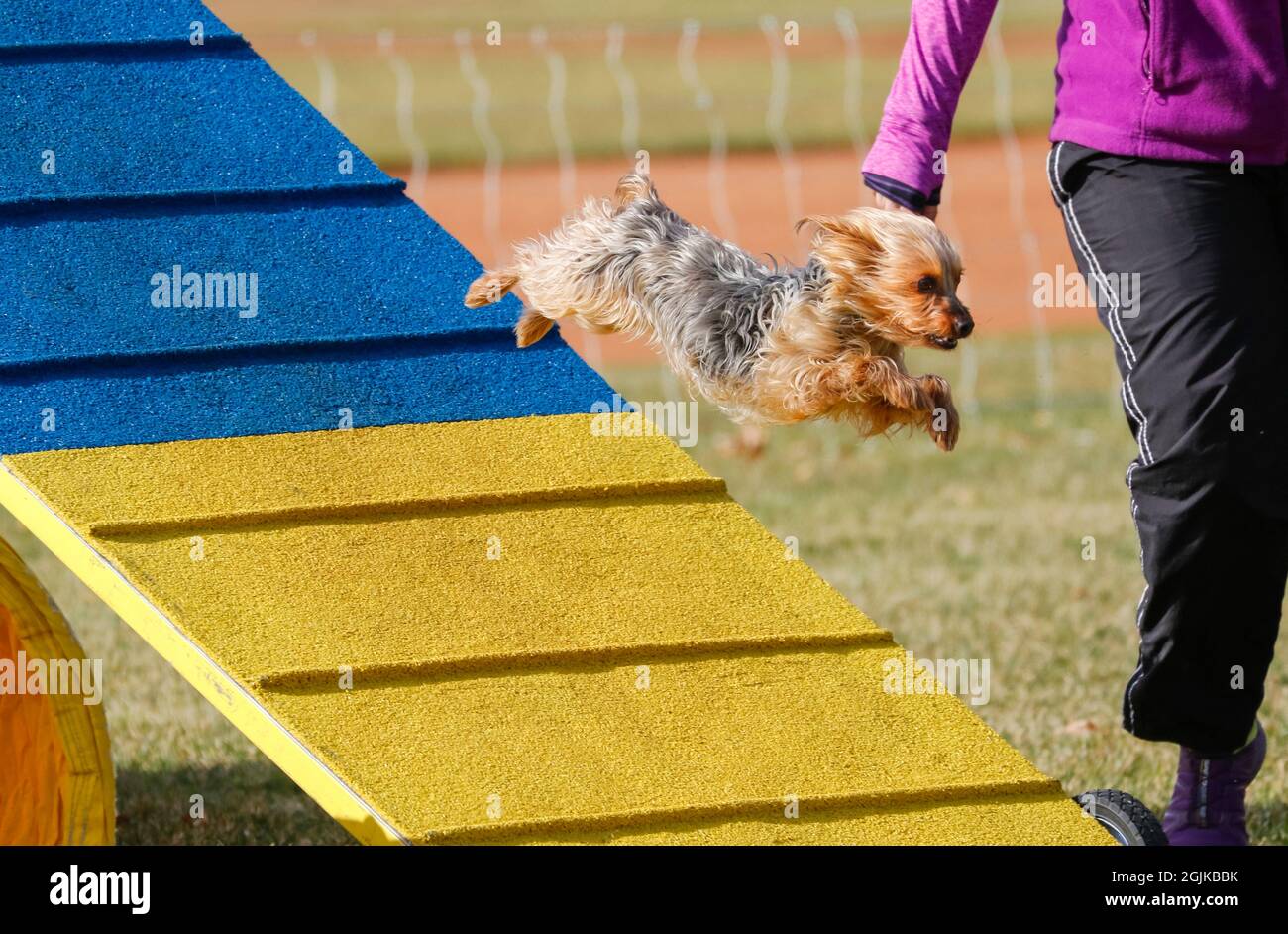 Agility a frame hi-res stock photography and images - Alamy