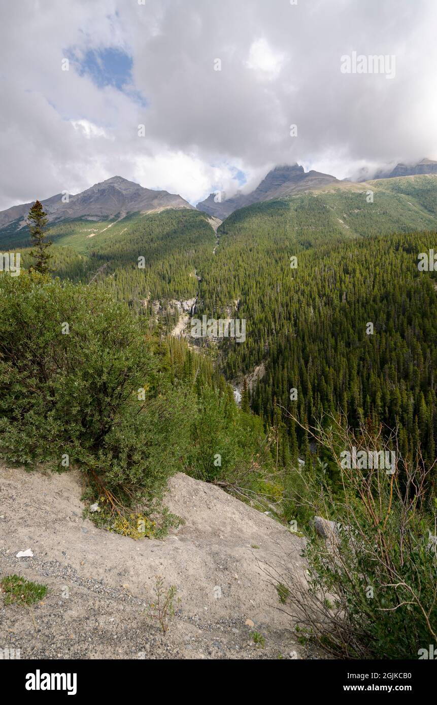 landscape along Icefield Parkway road in Alberta in Canada Stock Photo ...
