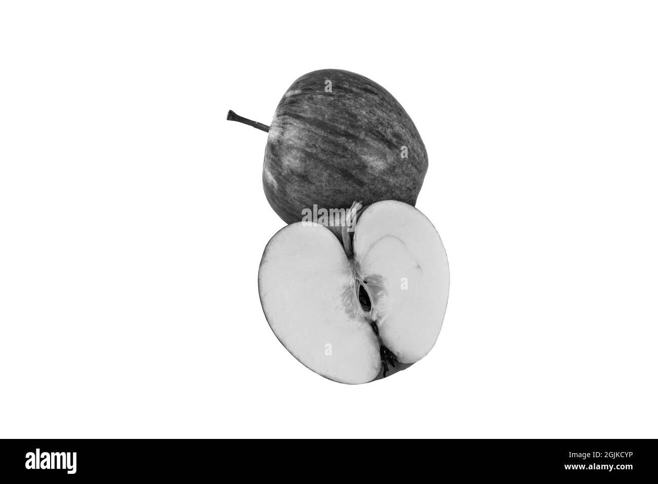 Grayscale shot of fresh sliced apples isolated on a white background ...