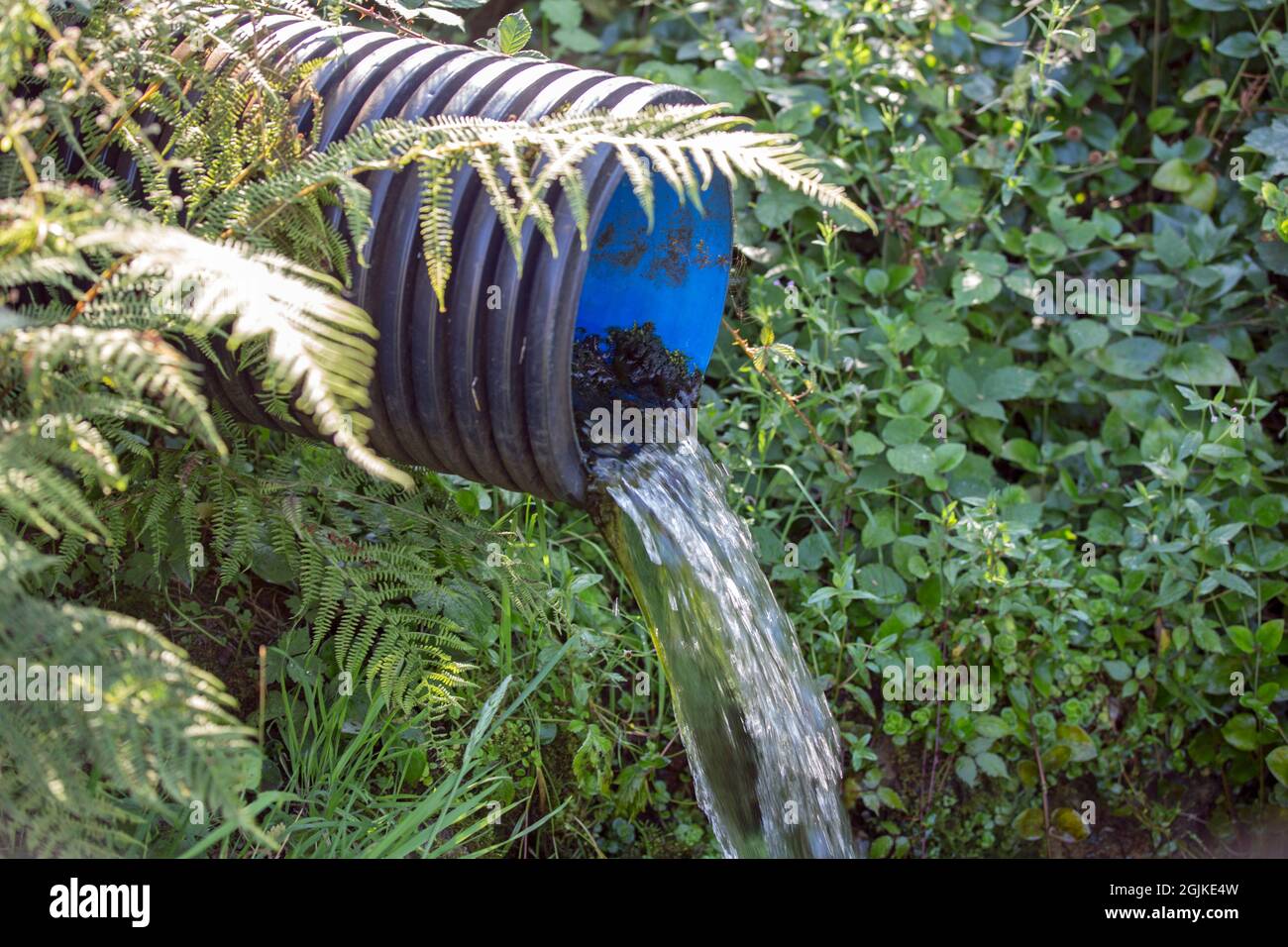 Cornish natural spring water hi-res stock photography and images - Alamy