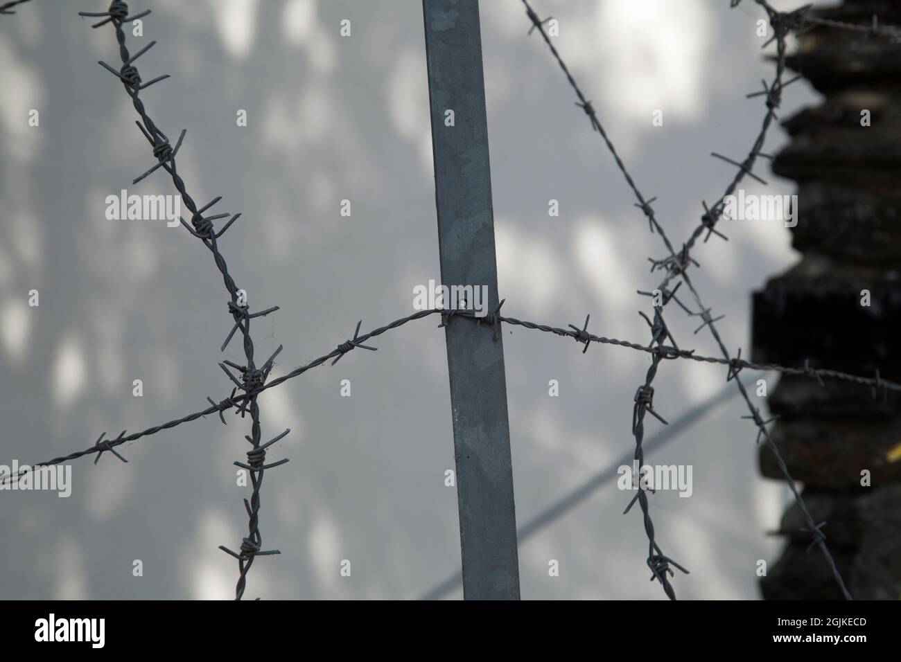 Barbed wire fence shot against a white painted background in landscape ...