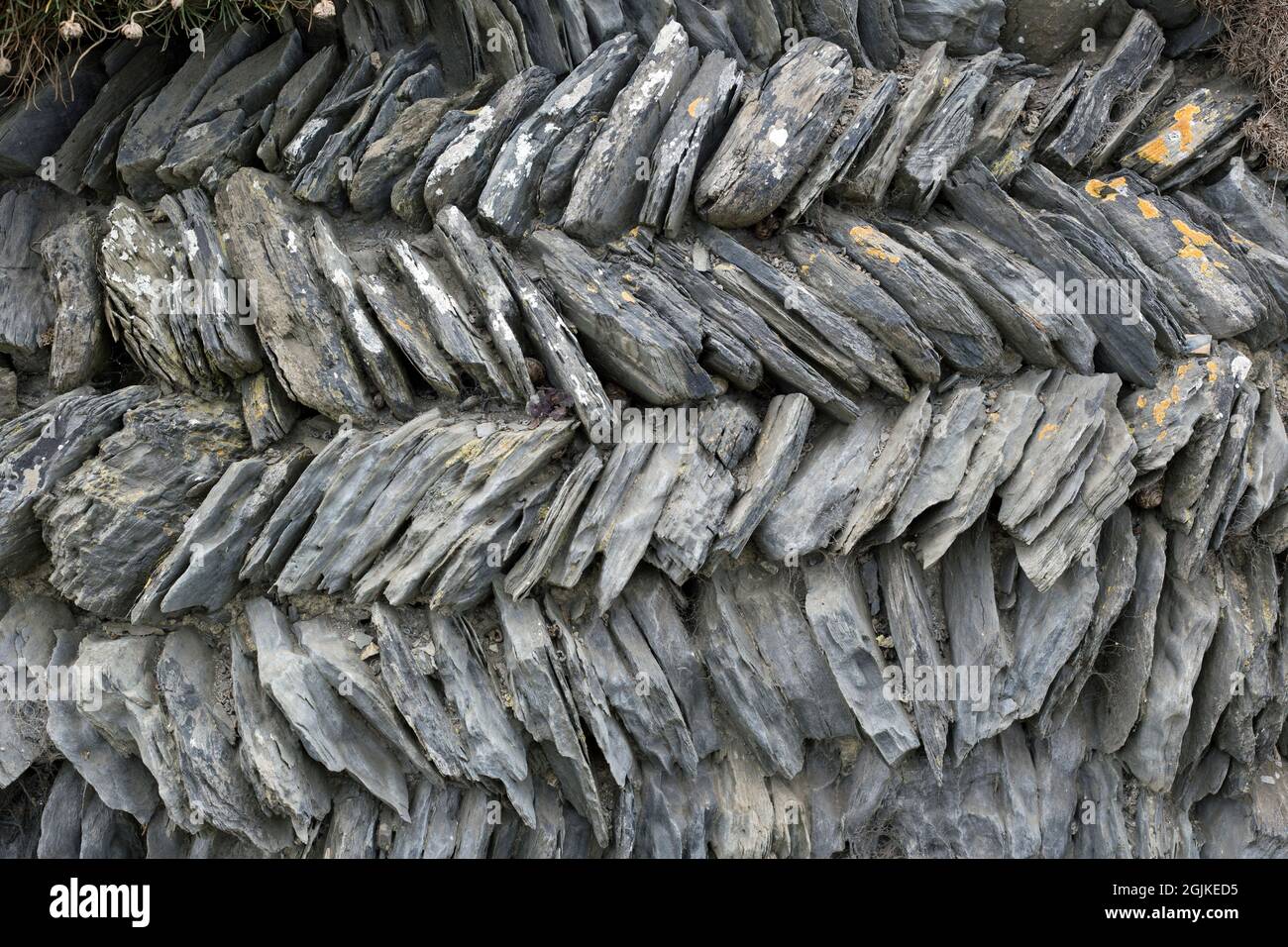 Cornish dry stone wall with herringbone structured pattern Stock Photo ...