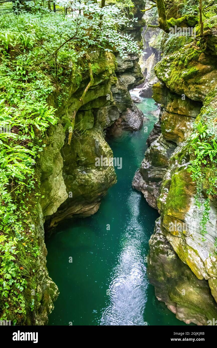 Scenic views of Martvili Canyon in Georgia tourist destination and ...
