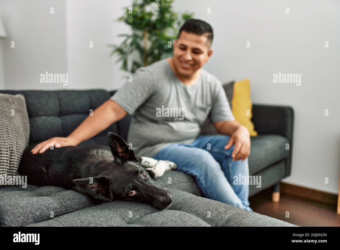 Young hispanic man smiling happy sitting on the sofa with dog at home ...