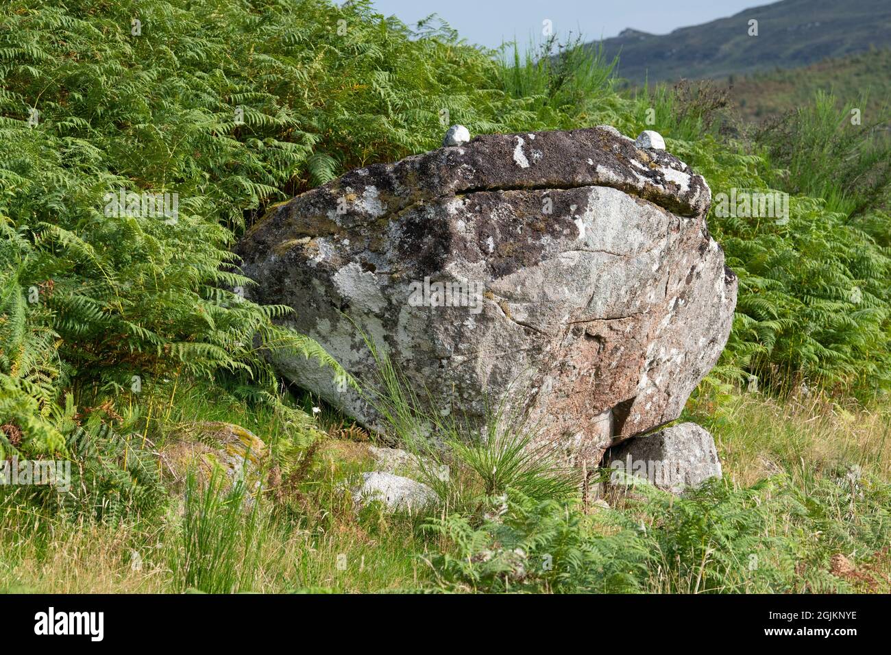 Rannoch Frog Stone by the side of the road, Loch Rannoch, Scotland, UK ...