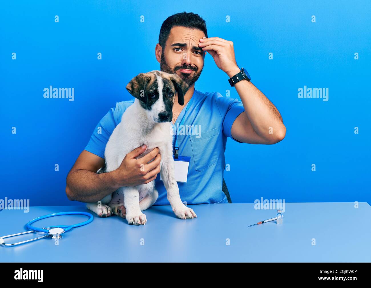 Handsome hispanic veterinary man with beard checking dog health worried ...