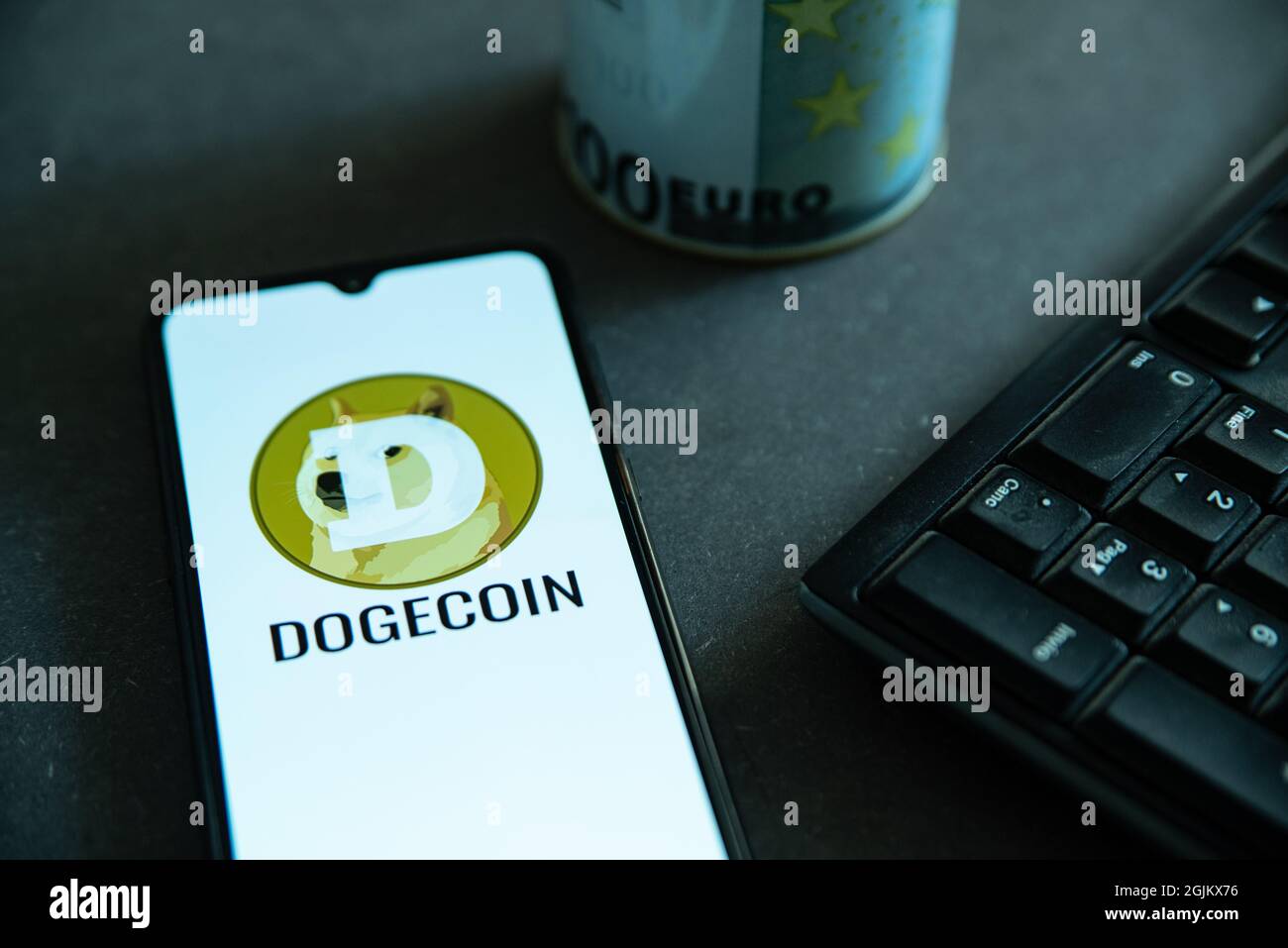 The Dogecoin cryptocurrency logo is seen on the display of a smartphone ...