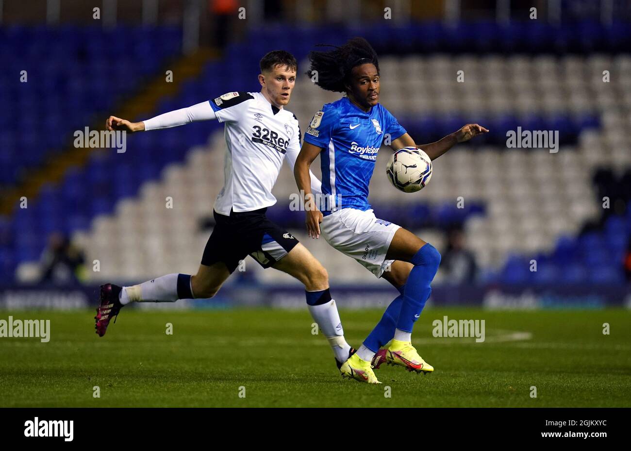 Bird lphli hi-res stock photography and images - Alamy