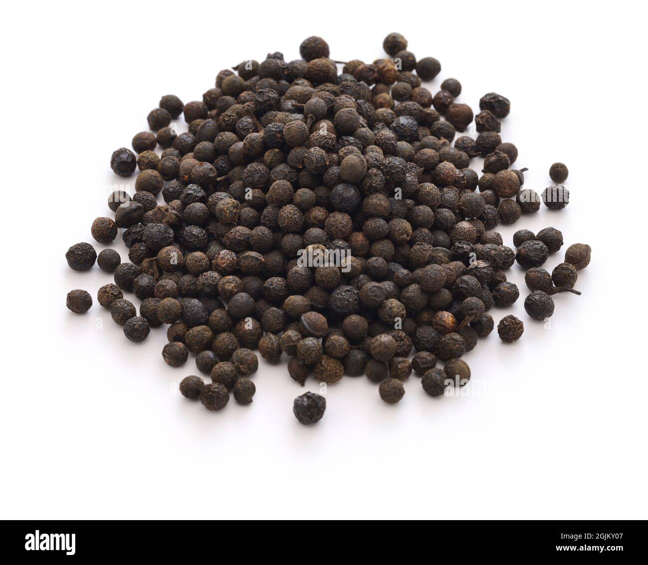 Magao, Taiwanese rare spice, also known as mountain peppercorn Stock ...