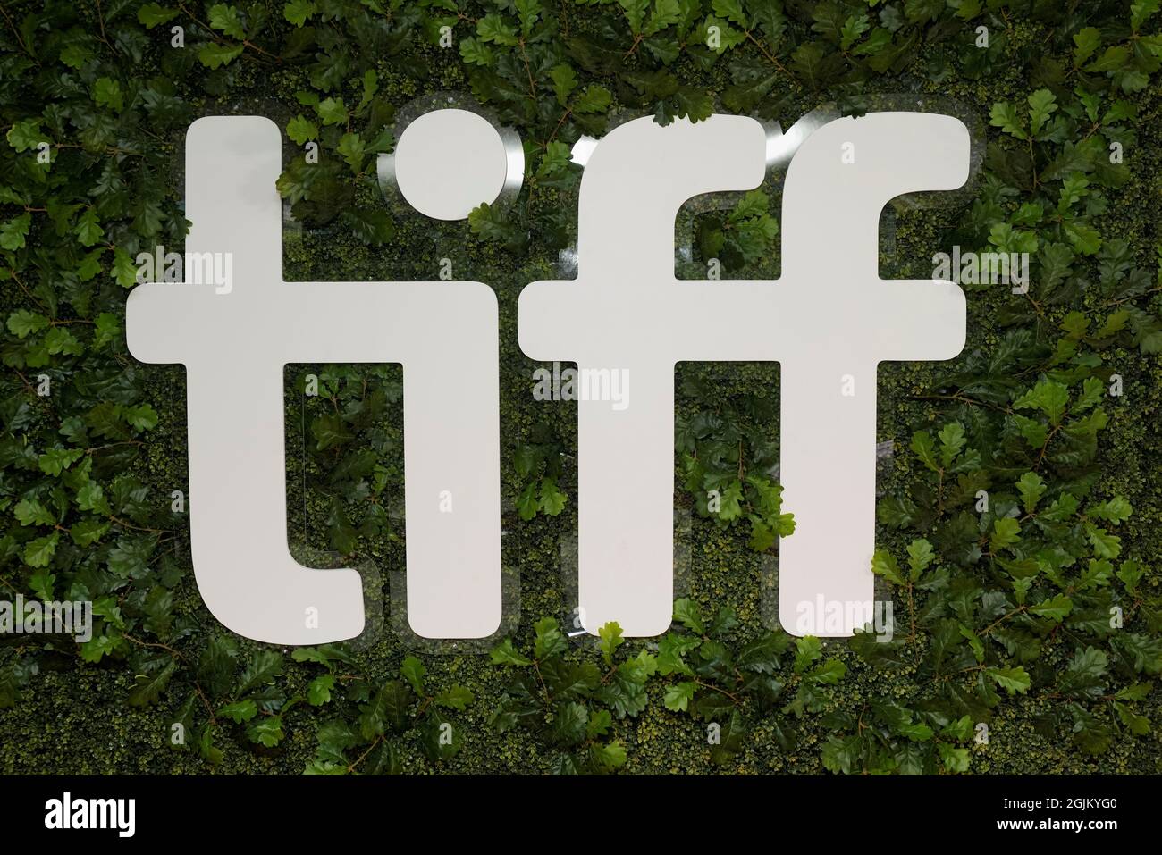 Tiff logo hi-res stock photography and images - Alamy
