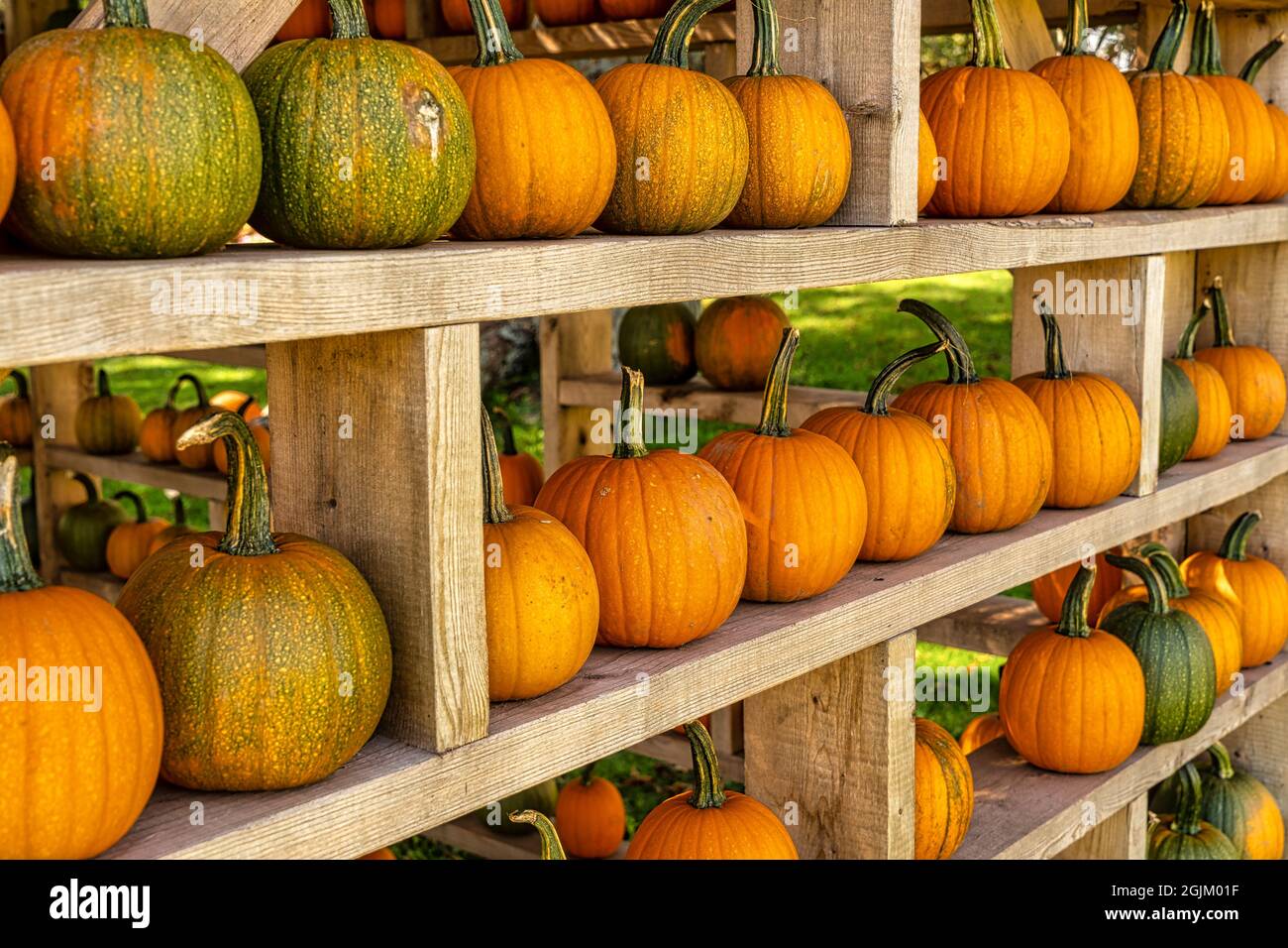 Display market many crop hi-res stock photography and images - Alamy