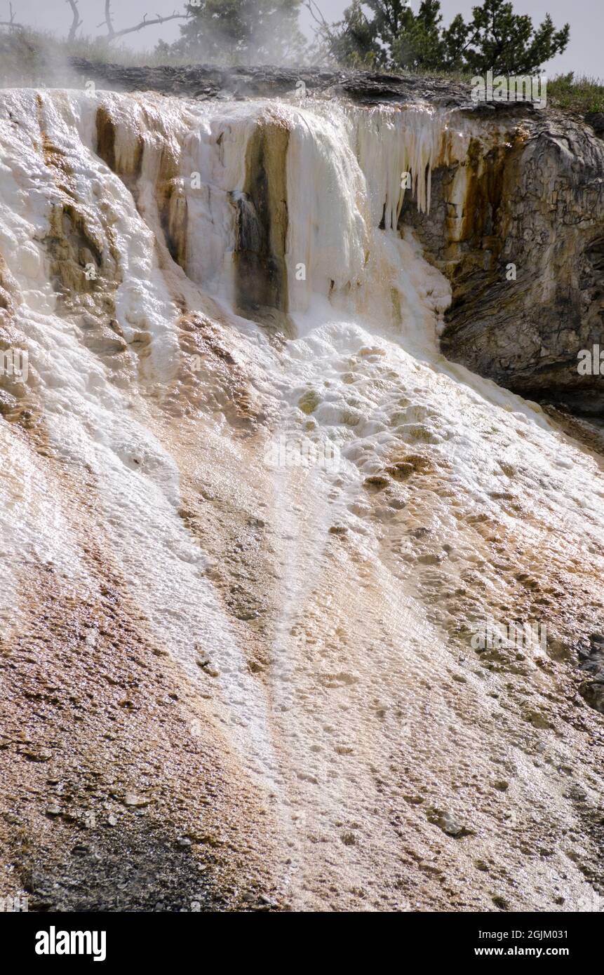 thermal springs and limestone formations at mammoth hot springs in ...