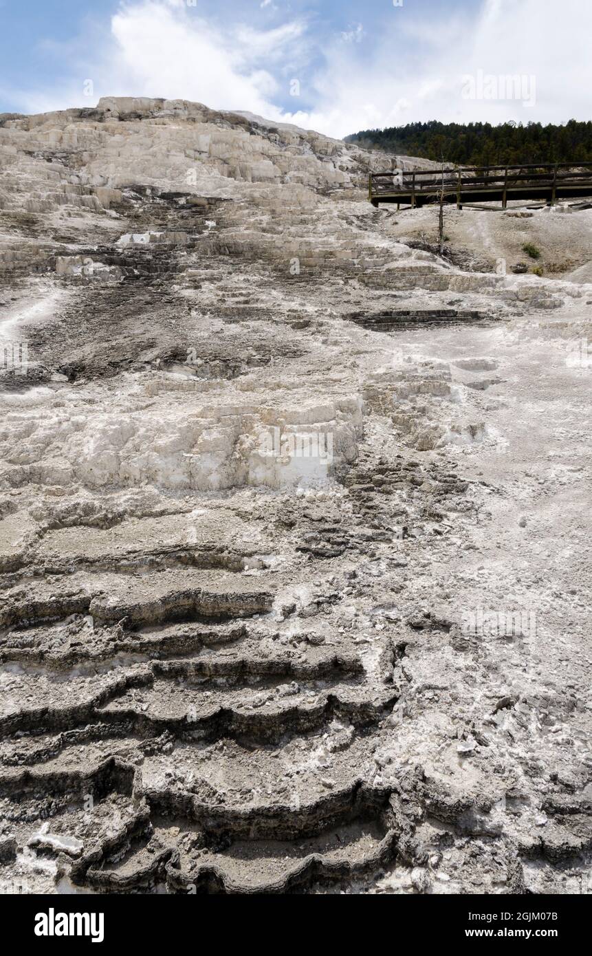 thermal springs and limestone formations at mammoth hot springs in ...