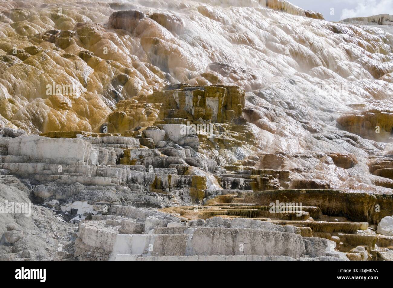 thermal springs and limestone formations at mammoth hot springs in ...