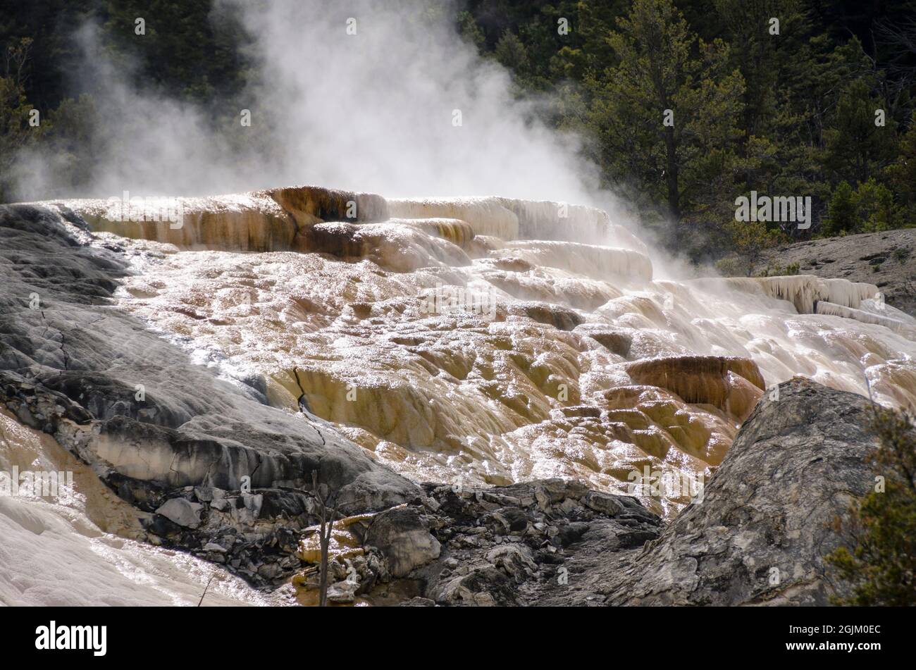 thermal springs and limestone formations at mammoth hot springs in ...