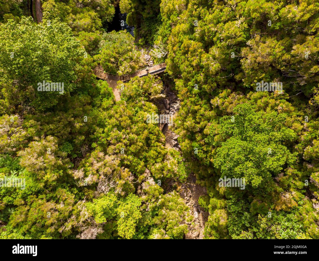 Aerial drop down view of forest waterfall falling into pond Stock Photo ...