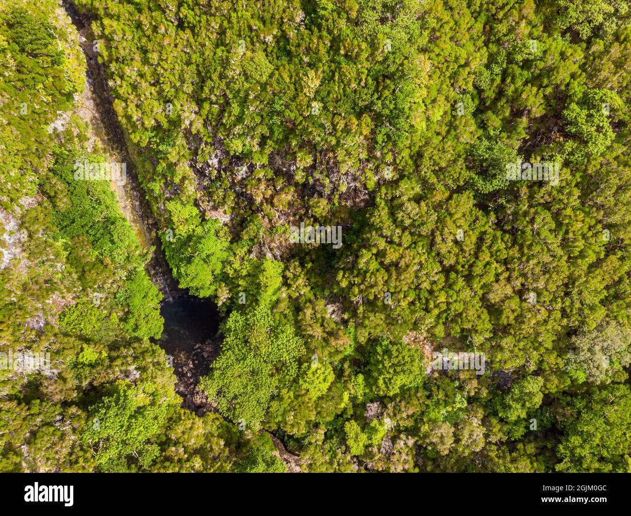 Aerial drop down view of forest waterfall falling into pond Stock Photo ...