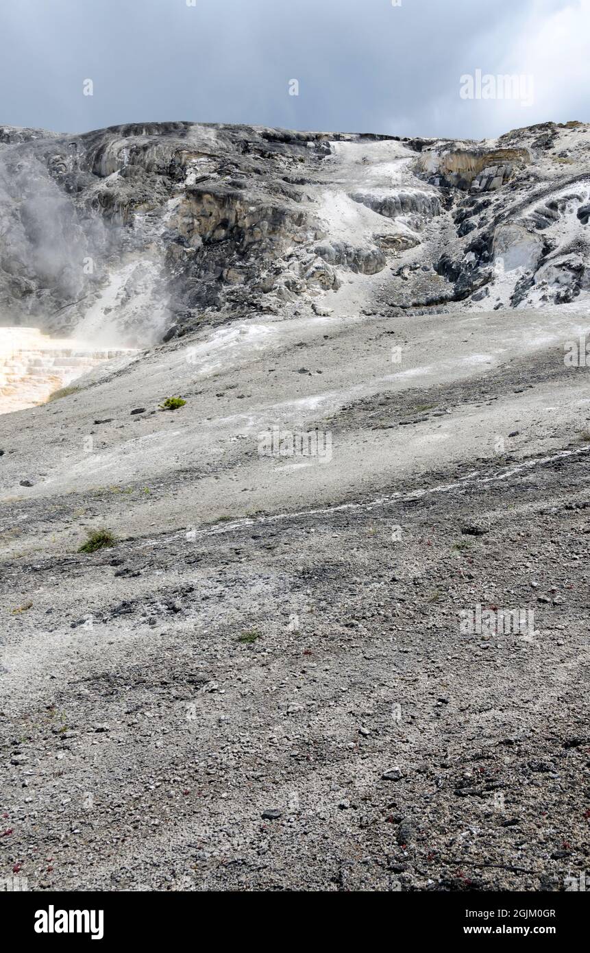 thermal springs and limestone formations at mammoth hot springs in ...