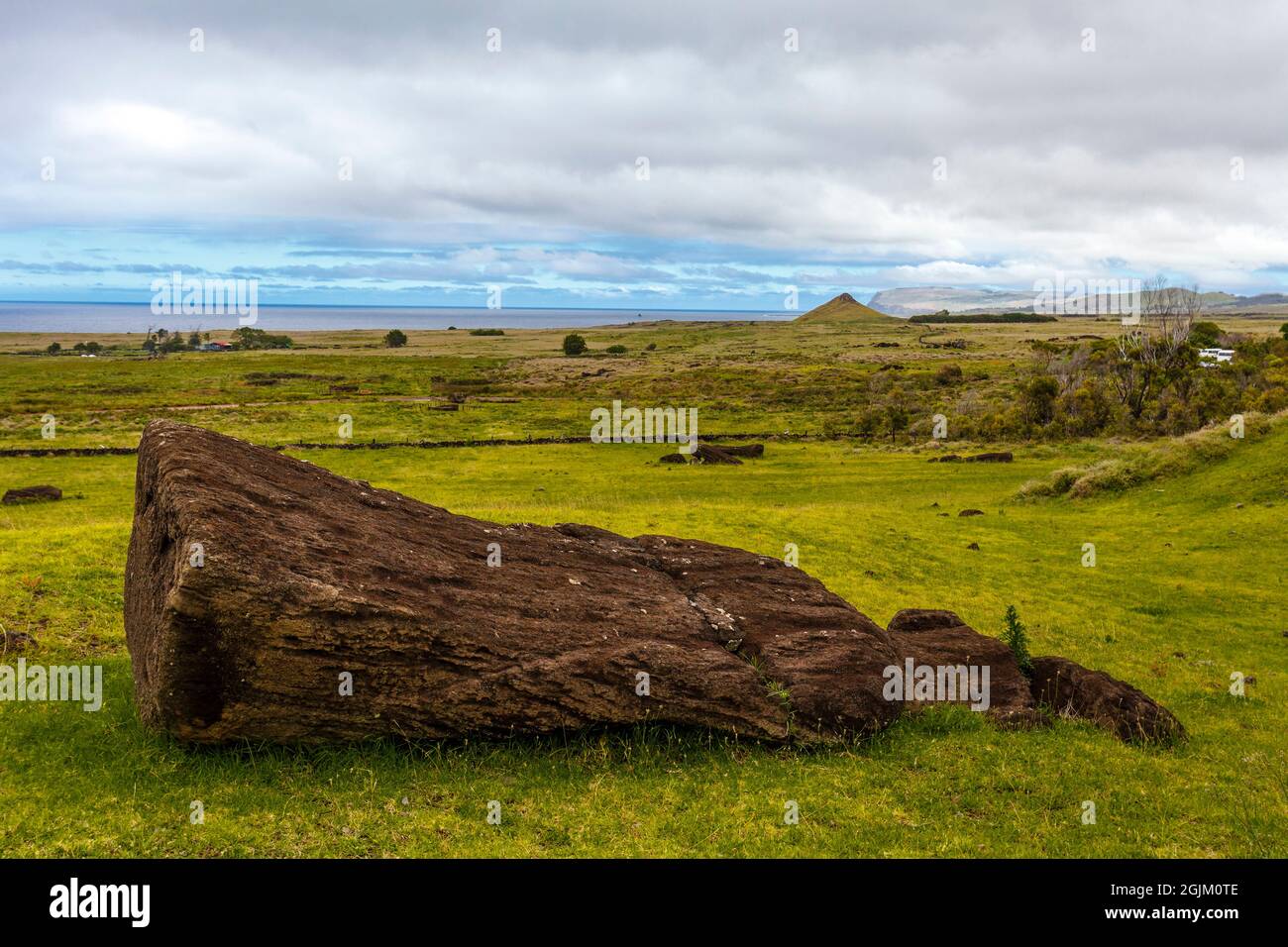 Fallen moai statue in the Rano Raraku Quarry at Easter Island, Chile ...