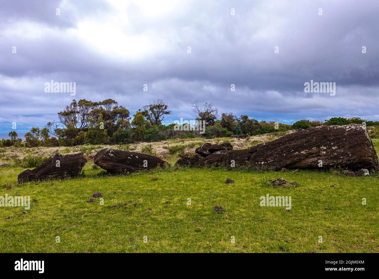 Fallen moai statue in the Rano Raraku Quarry at Easter Island, Chile ...