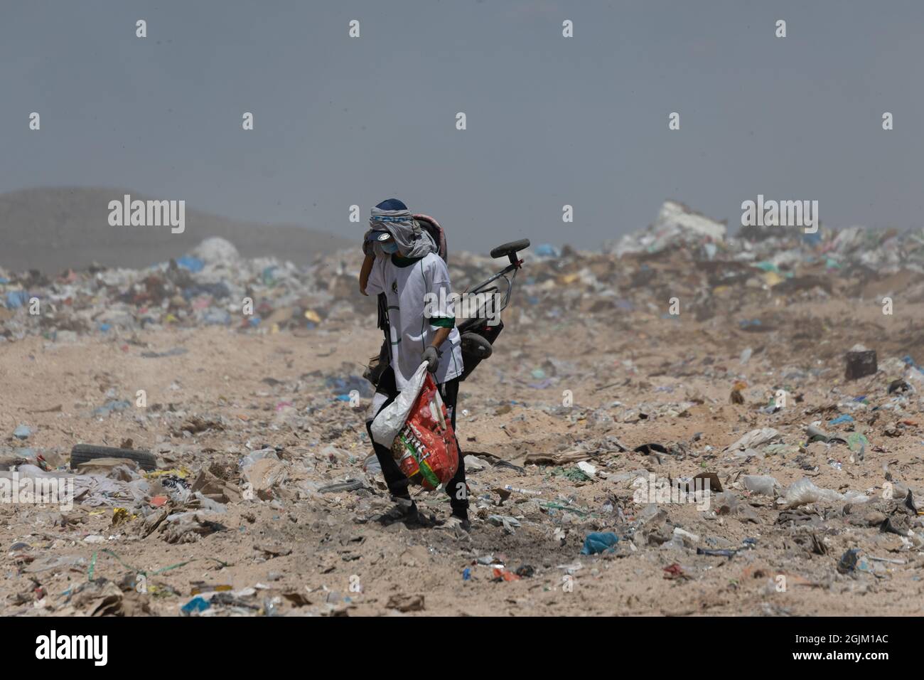 Men, women and children work as scavengers in the municipal garbage ...
