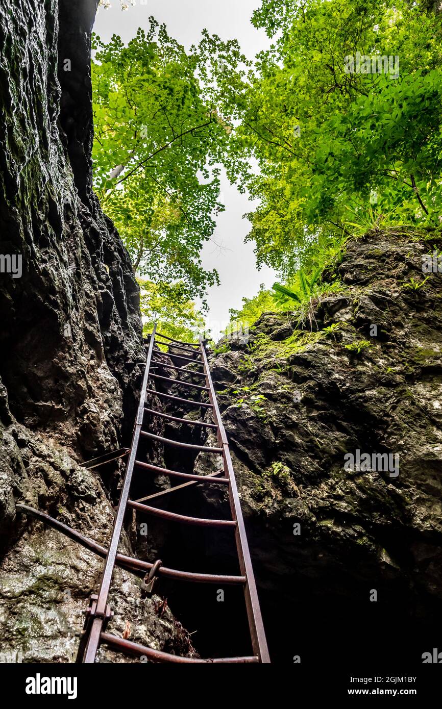 Old Iron Ladder On Via Verrata Through Narrow Gorge In The Alps Of ...