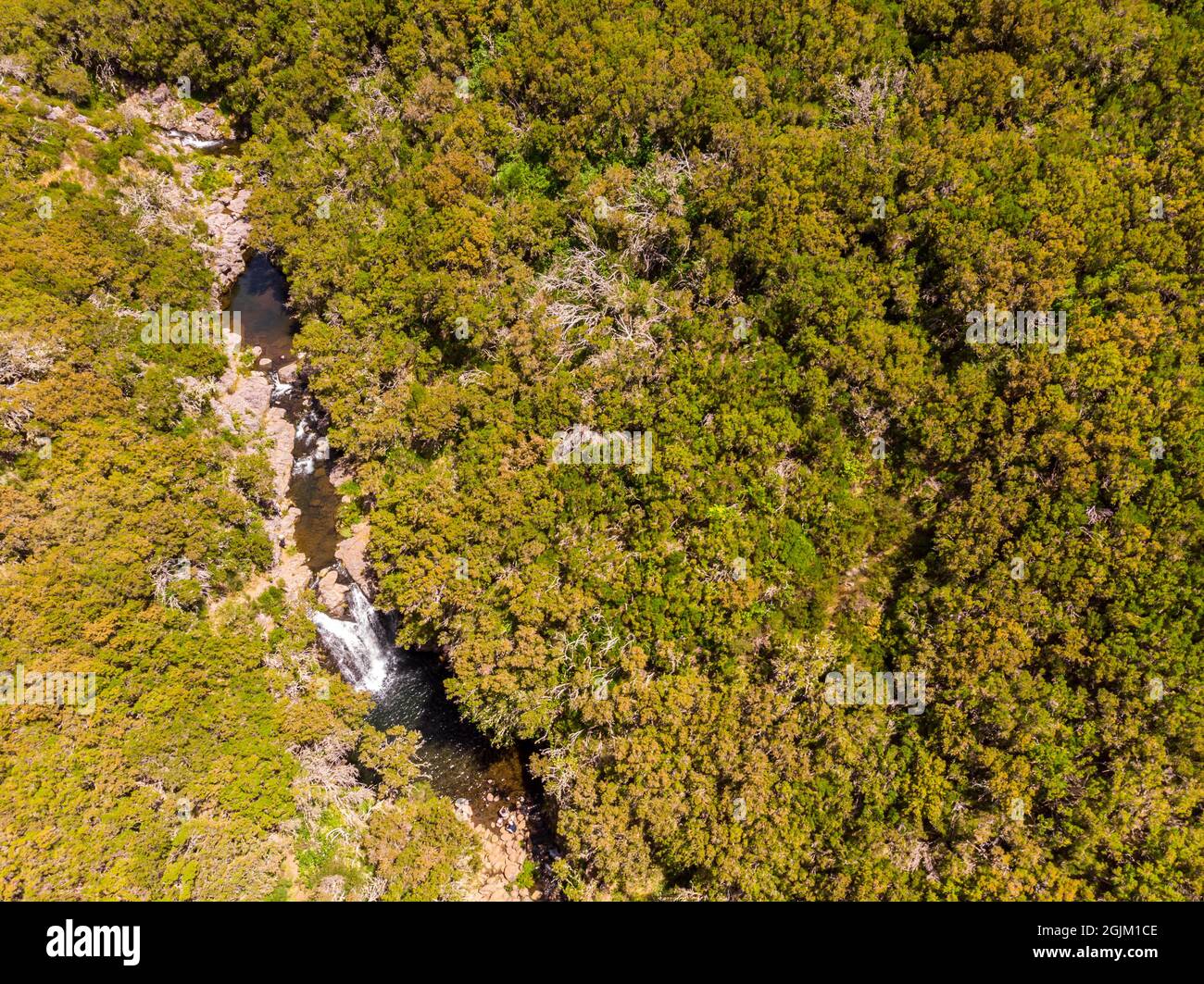 Drop down view of river runing through forest Stock Photo - Alamy