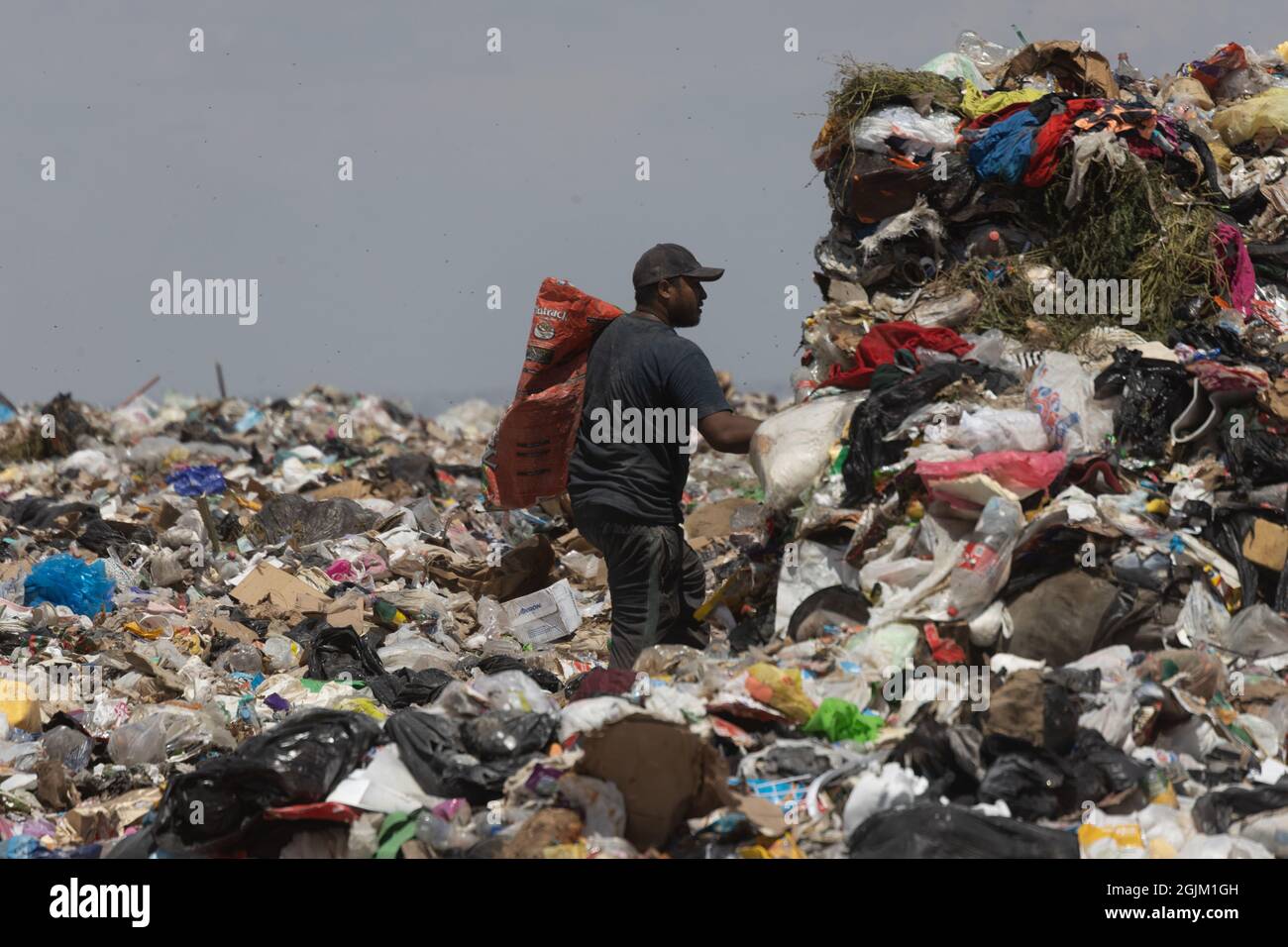 Men, women and children work as scavengers in the municipal garbage ...