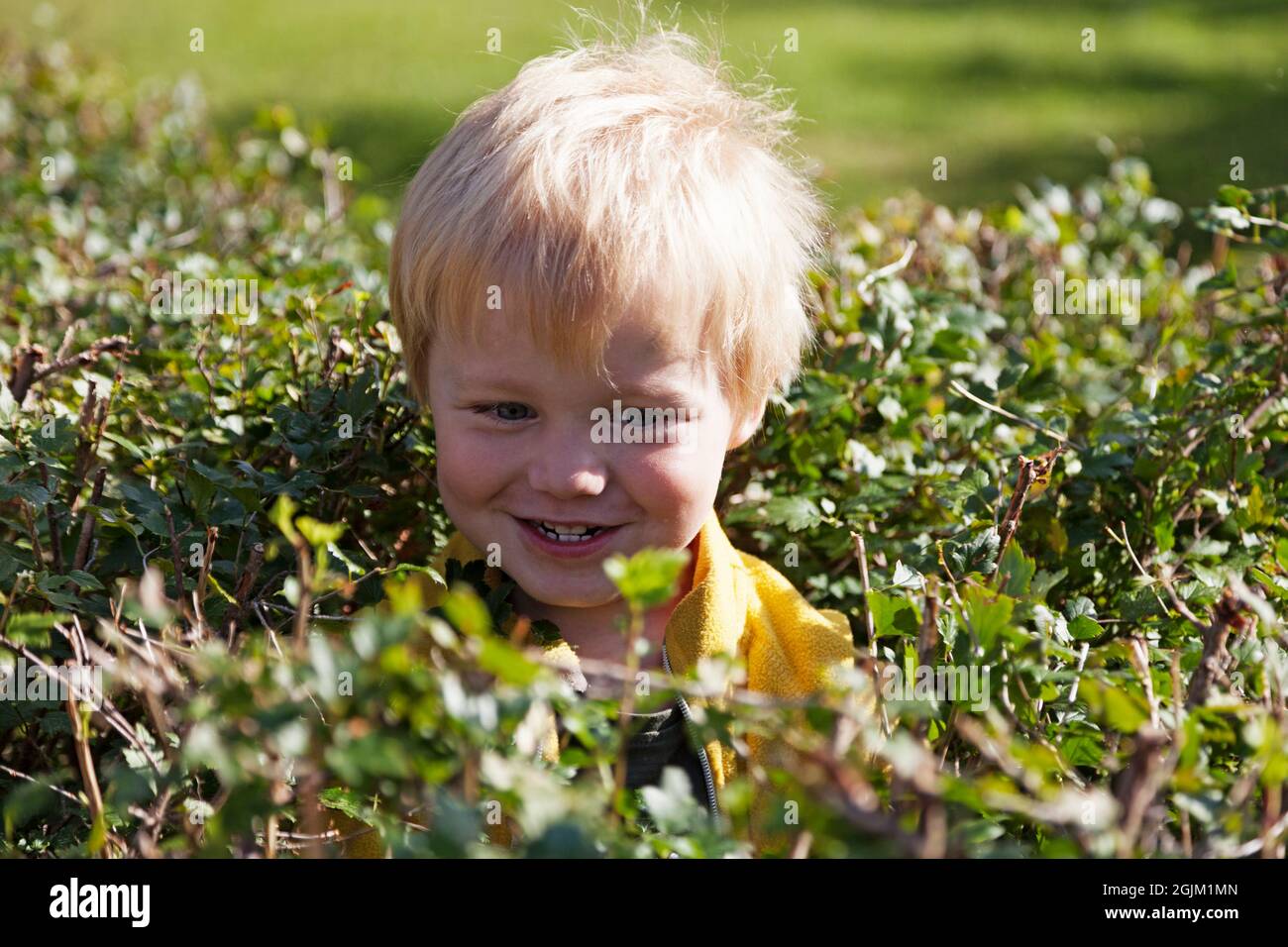Umea, Norrland Sweden - August 28, 2021: mischievous guy comes up with ...