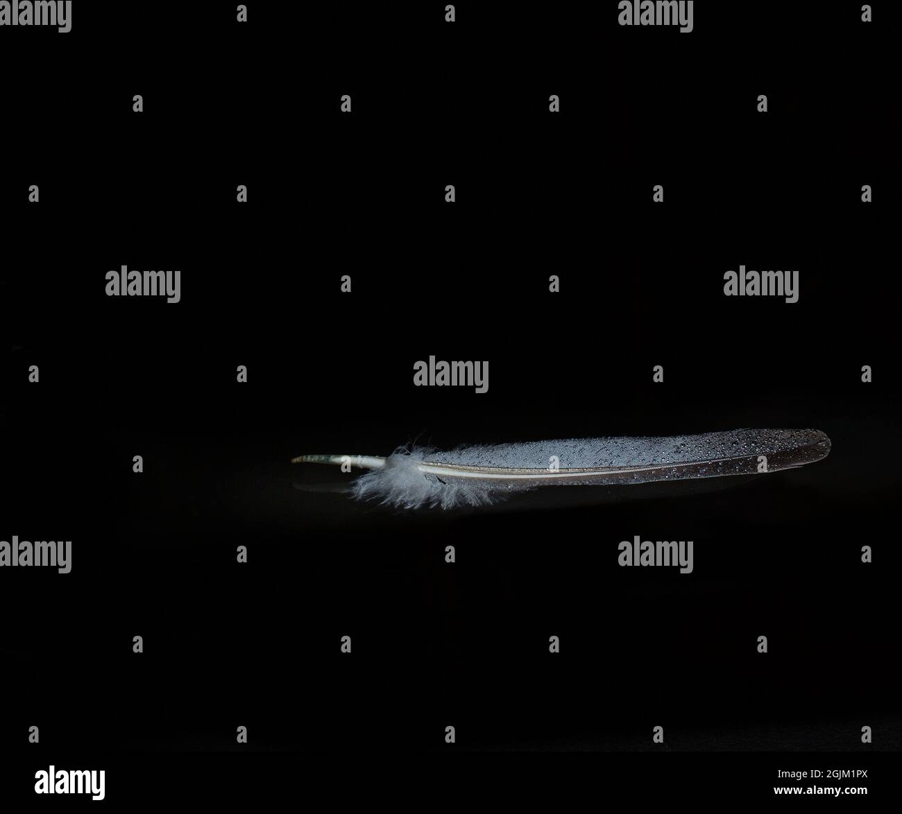 Floating texture hi-res stock photography and images - Alamy