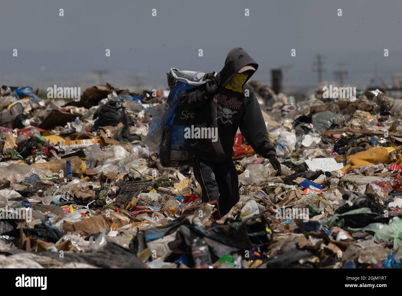 Men, women and children work as scavengers in the municipal garbage ...