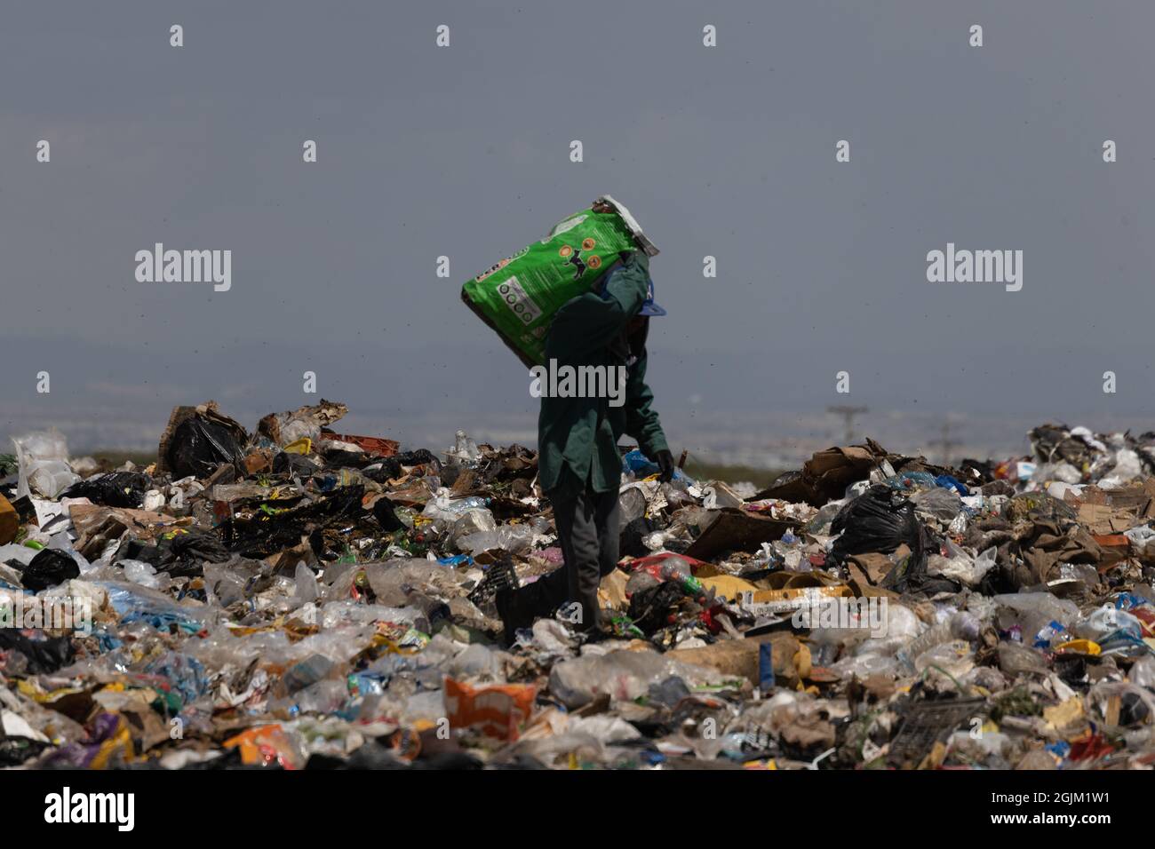 Men, women and children work as scavengers in the municipal garbage ...