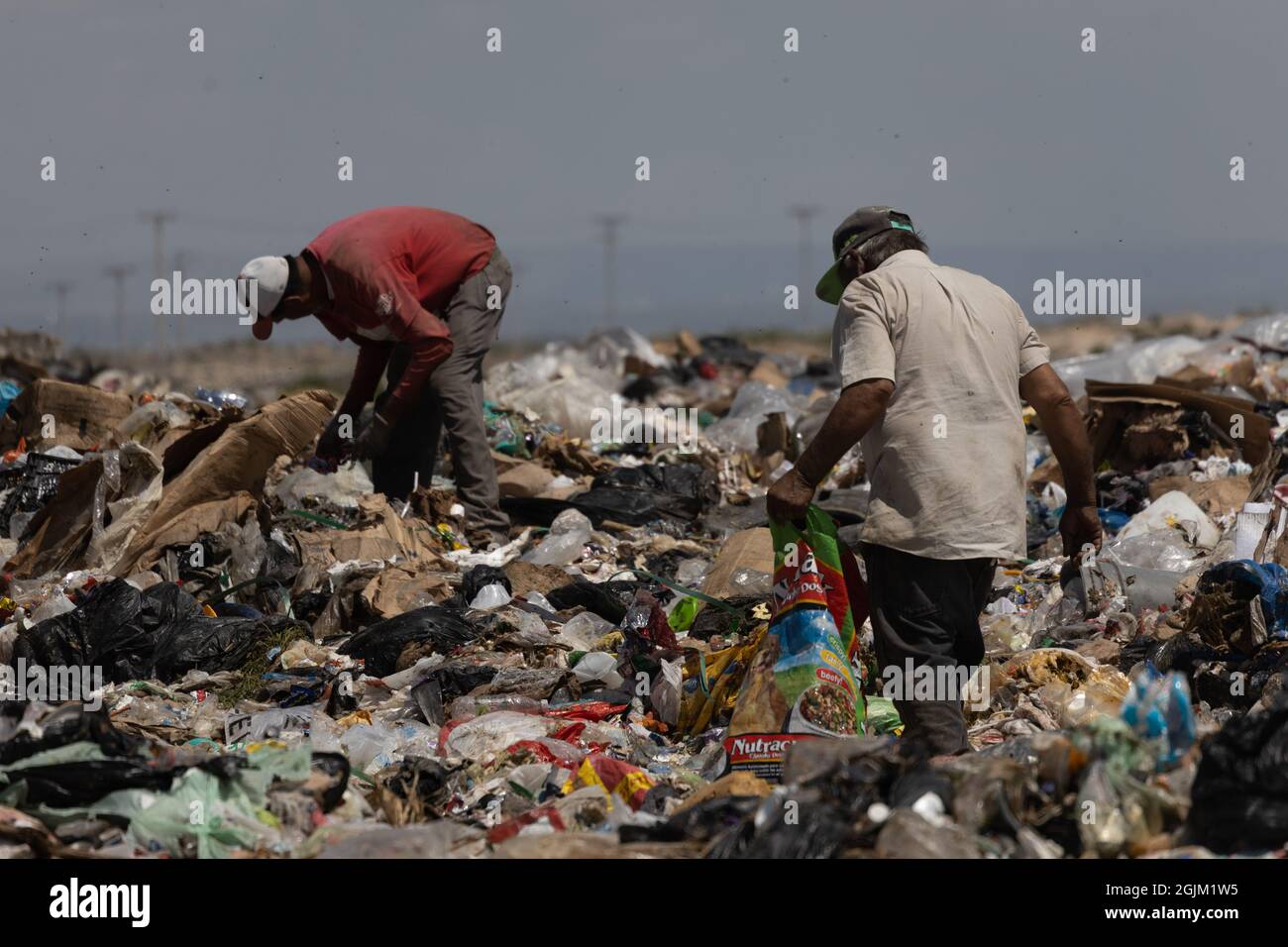 Men, women and children work as scavengers in the municipal garbage ...