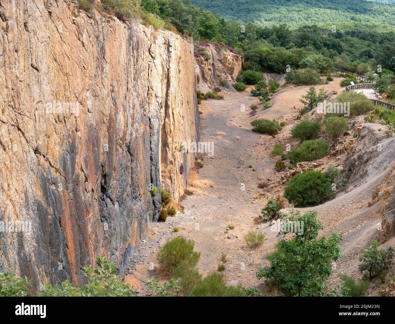 Scenic landscape of a mountain cliff with scattered bushes and trees ...