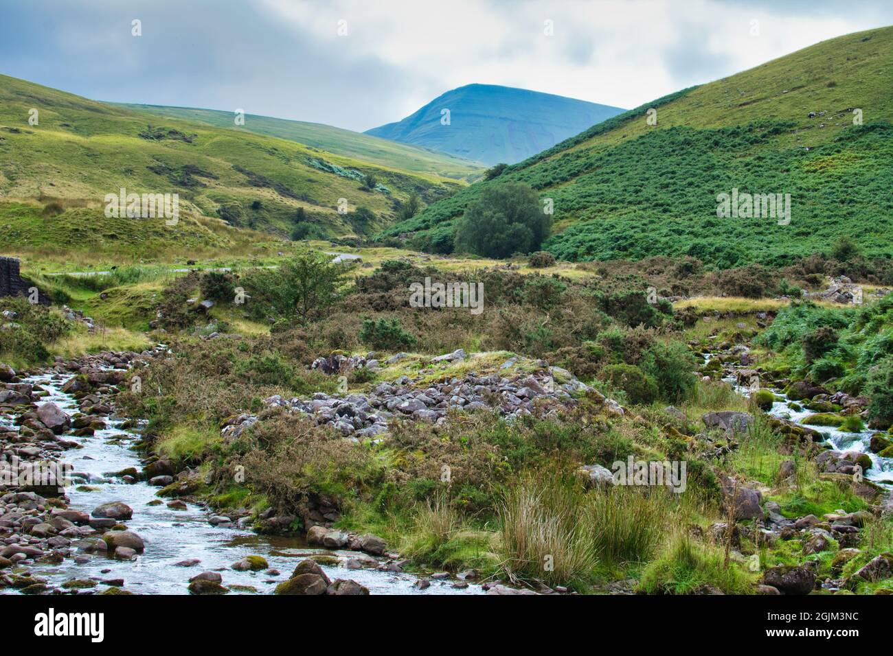 Brecon Beacons National Park in Wales Stock Photo - Alamy