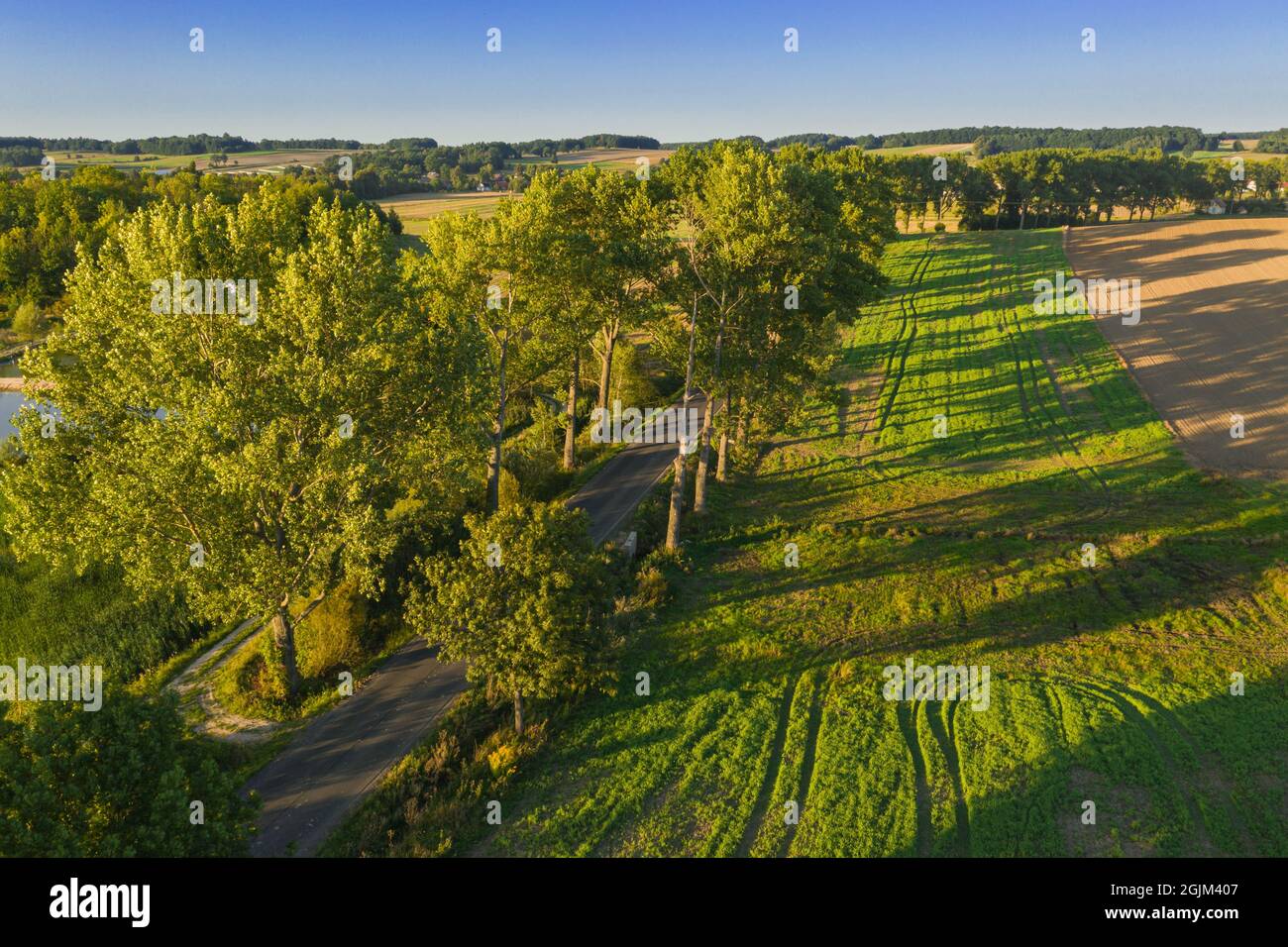 Undulating terrain covered with arable fields and meadows. The Sudeten ...
