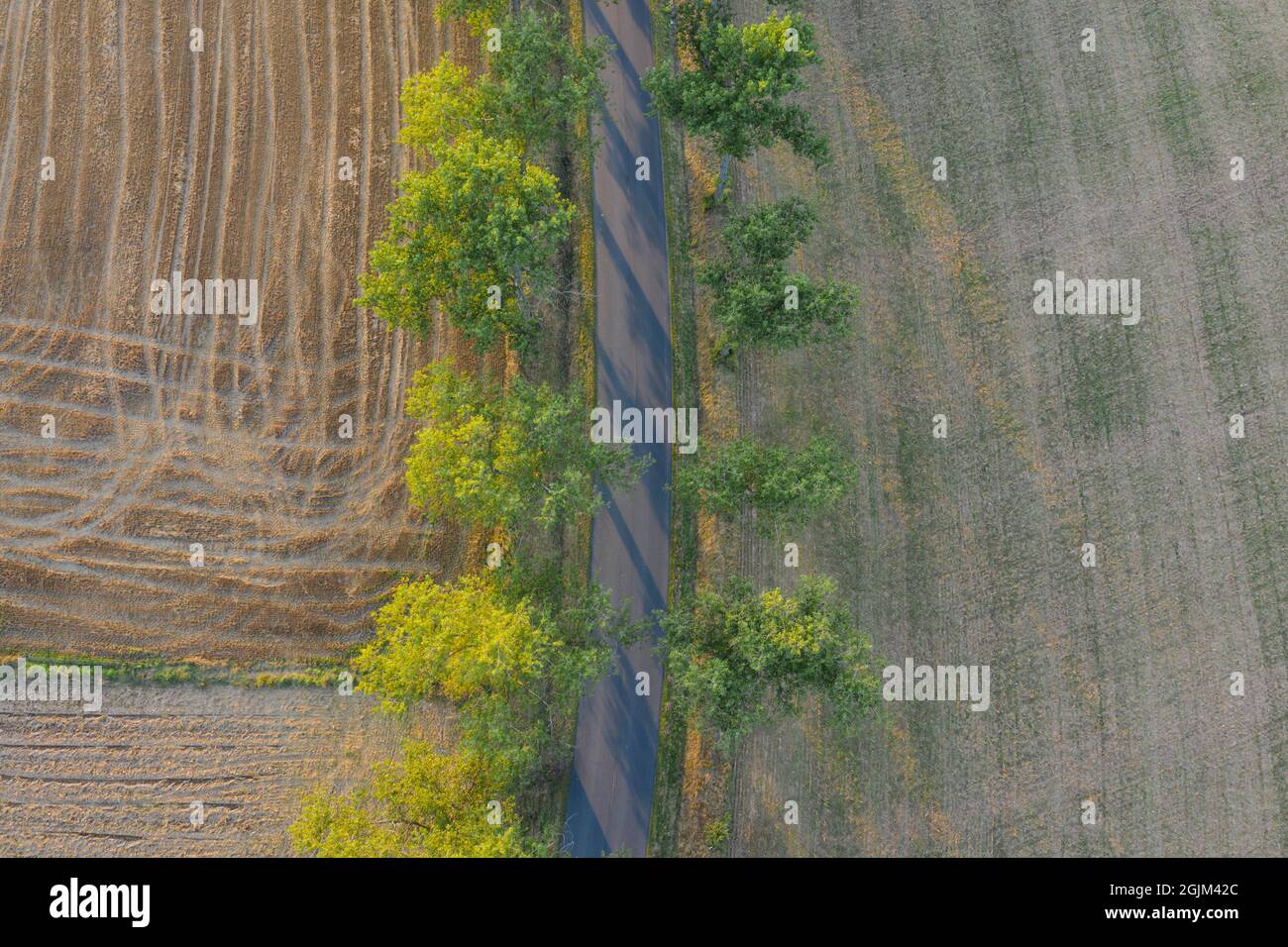Asphalt road through farmland and meadows. View from the drone Stock ...
