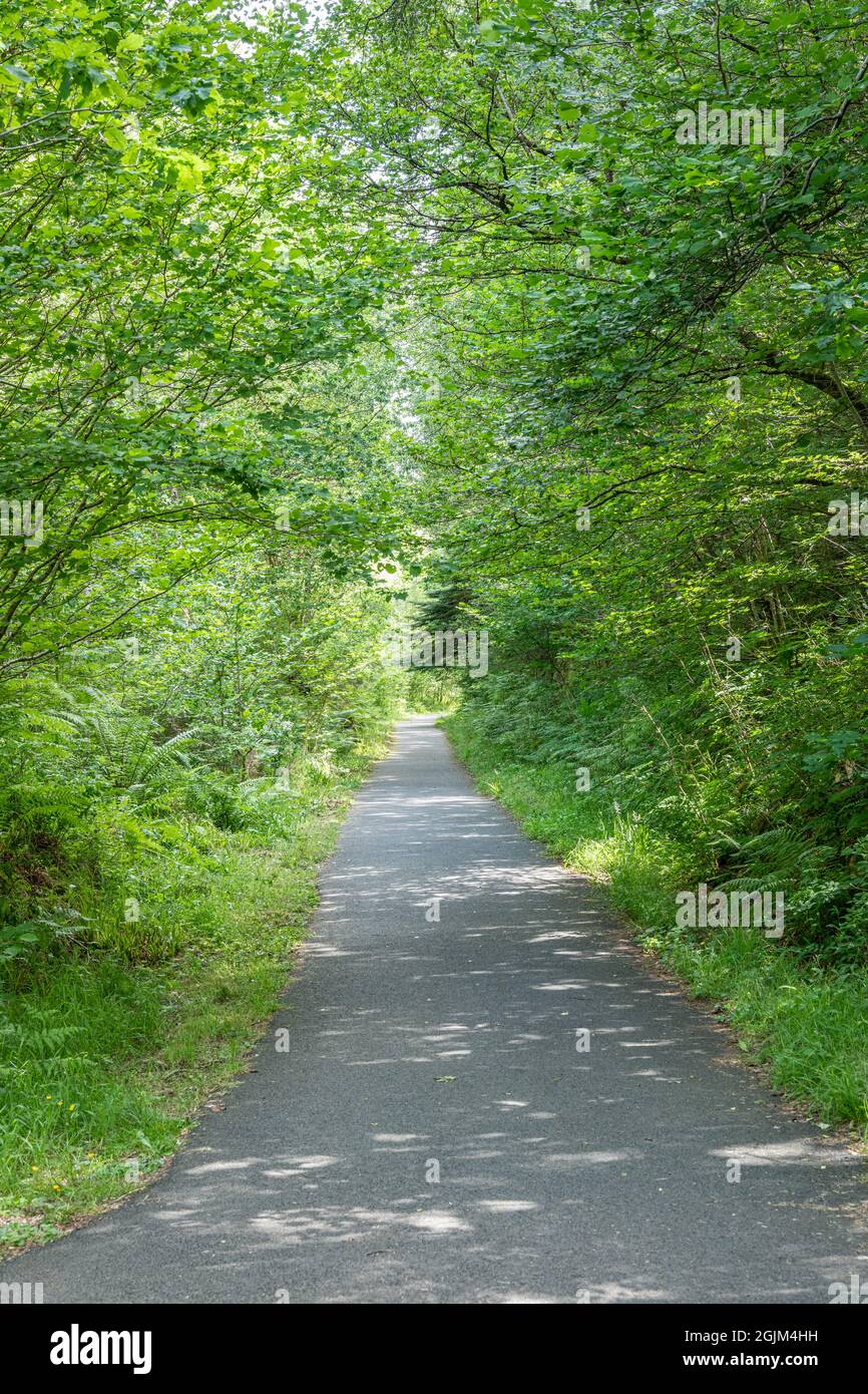 Great Trossachs Path and Rob Roy Way just north of Callander, Stirling ...