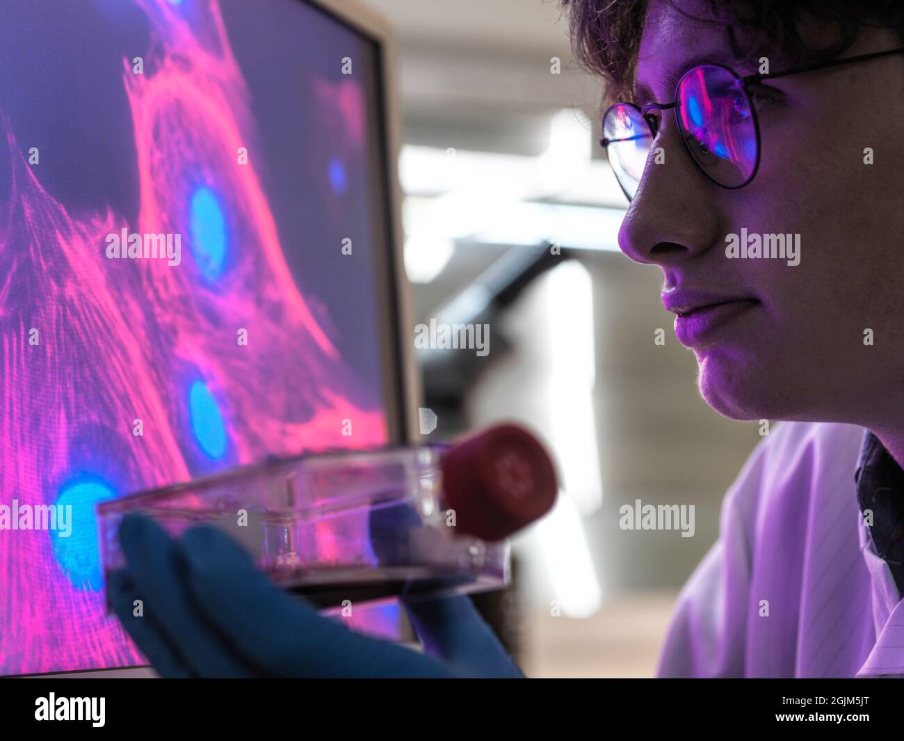 University research computer lab hi-res stock photography and images ...