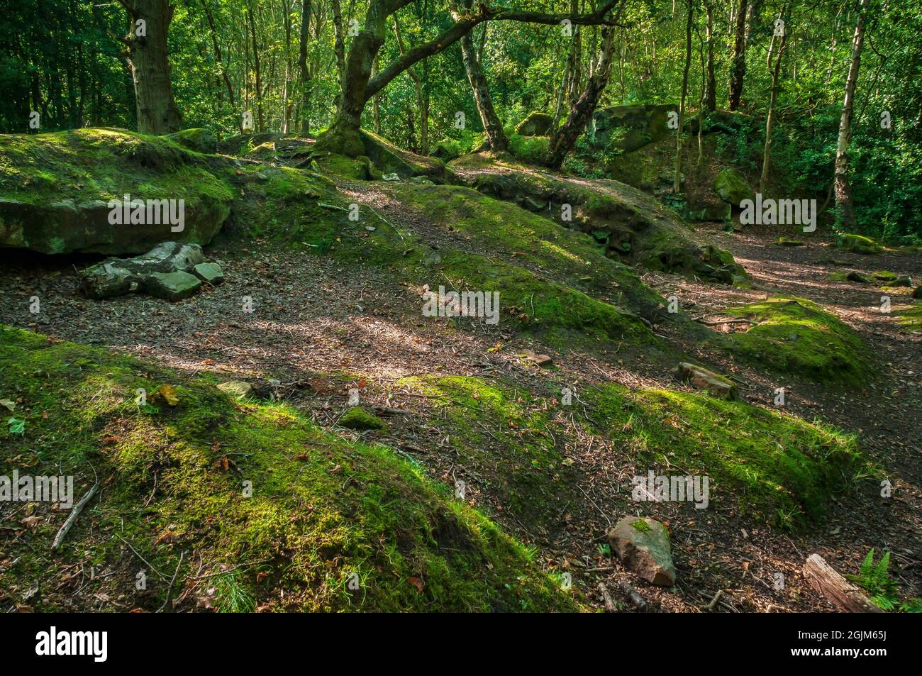 Ruined and abandoned structure, possibly a building or a backfilled ...