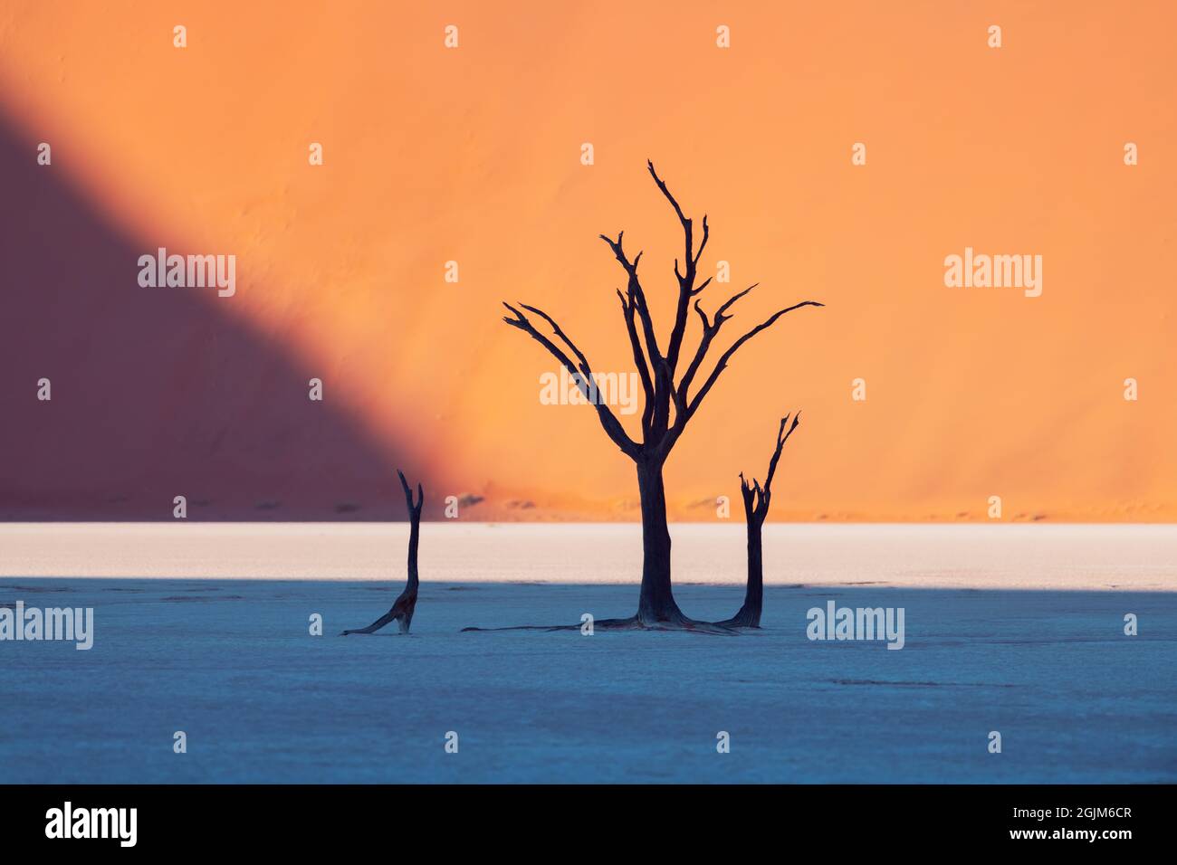 Dead Camelthorn Trees at sunrise, Deadvlei, Namib-Naukluft National ...