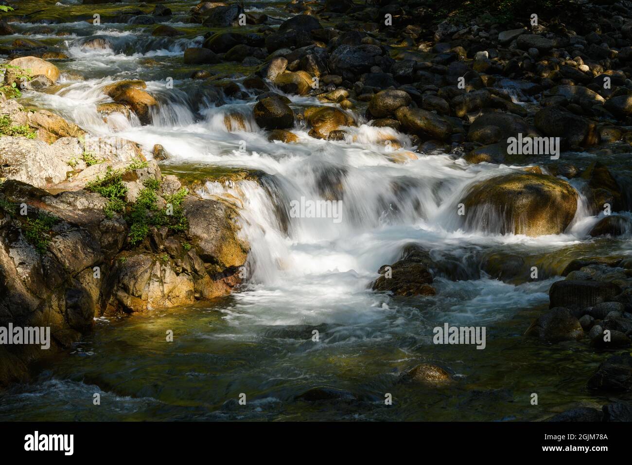 White water in a mountain stream as it cascades down through the forest ...